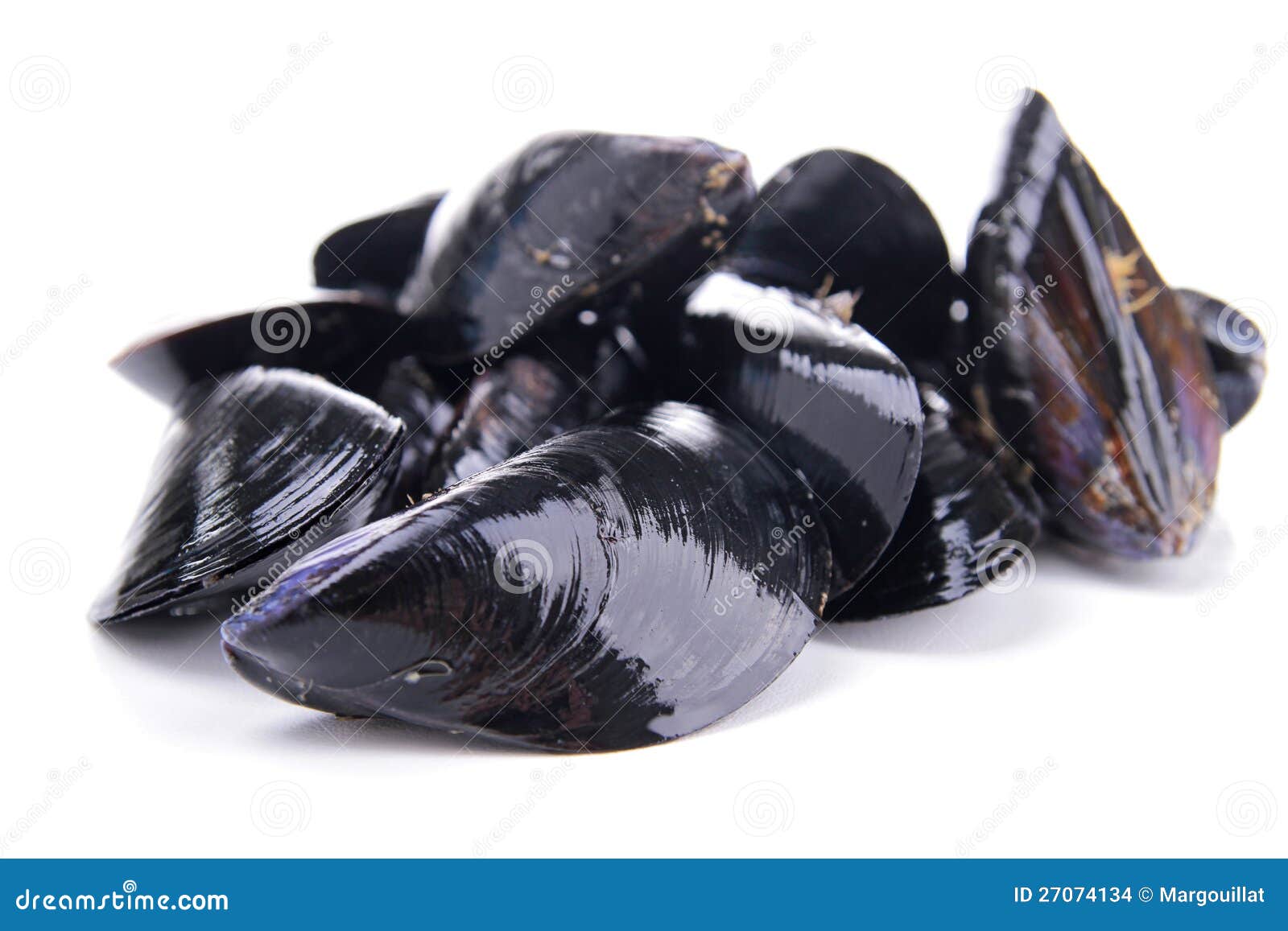 Mussel stock photo. Image of gastronomy, freshness, cuisine - 27074134