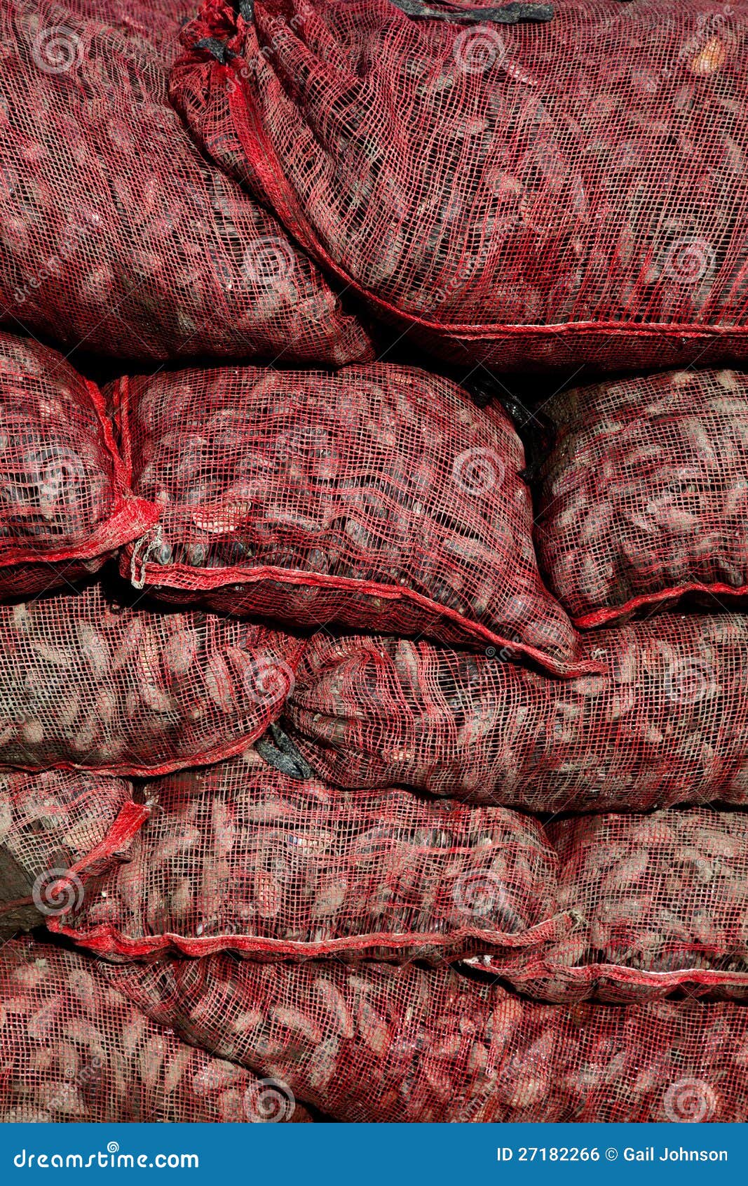 Mussel bags stock photo. Image of north, conwy, wales - 27182266