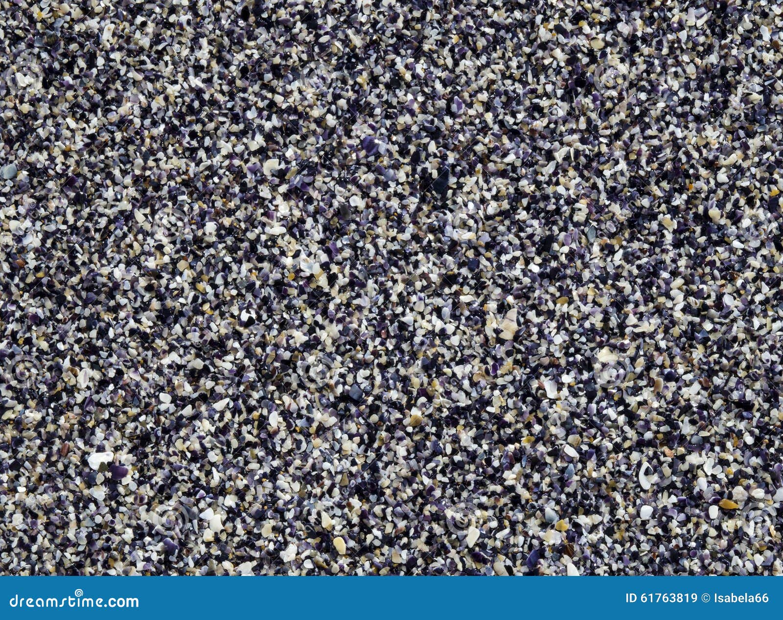 Mussel Beach, Many Crushed Seashells Stock Image - Image of geology ...