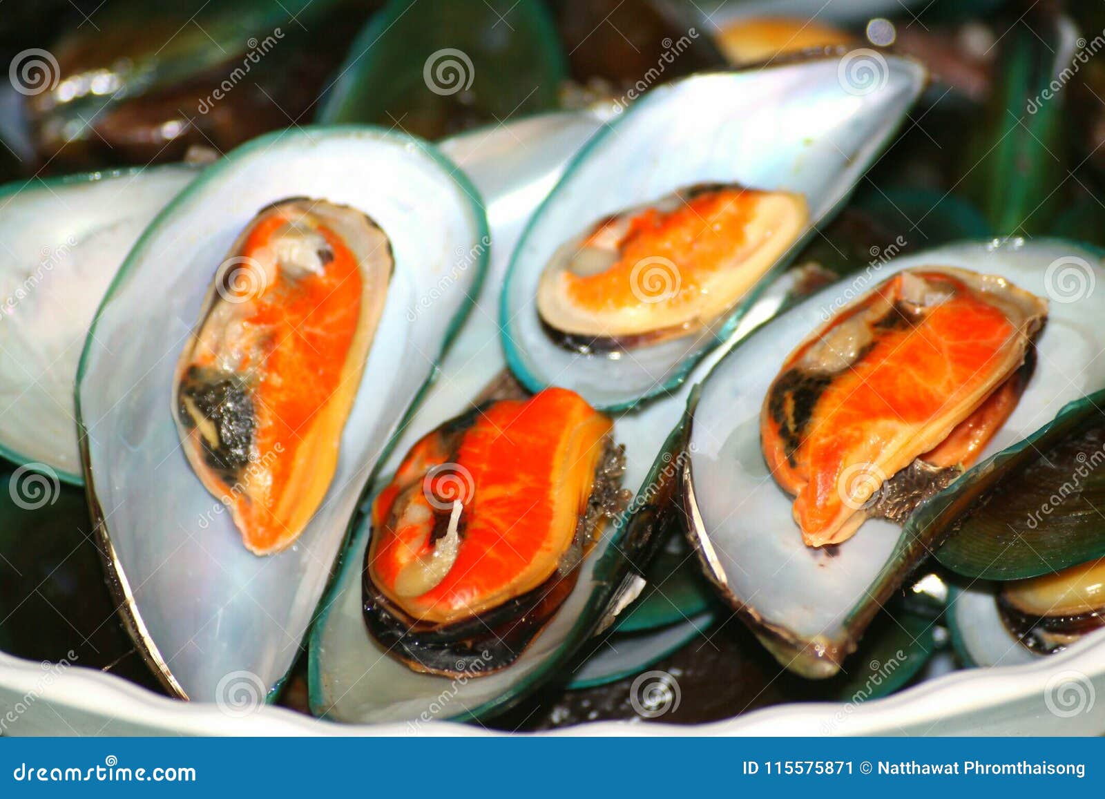 Mussel stock image. Image of beautiful, seafood, mussel - 115575871
