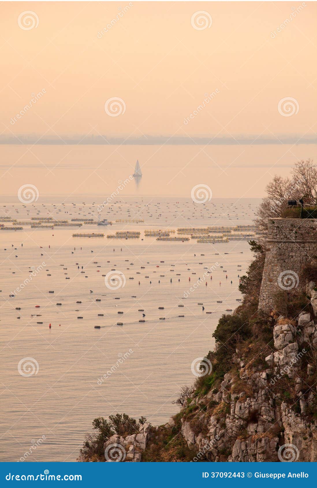 Mussel farming, Trieste stock image. Image of heritage - 37092443