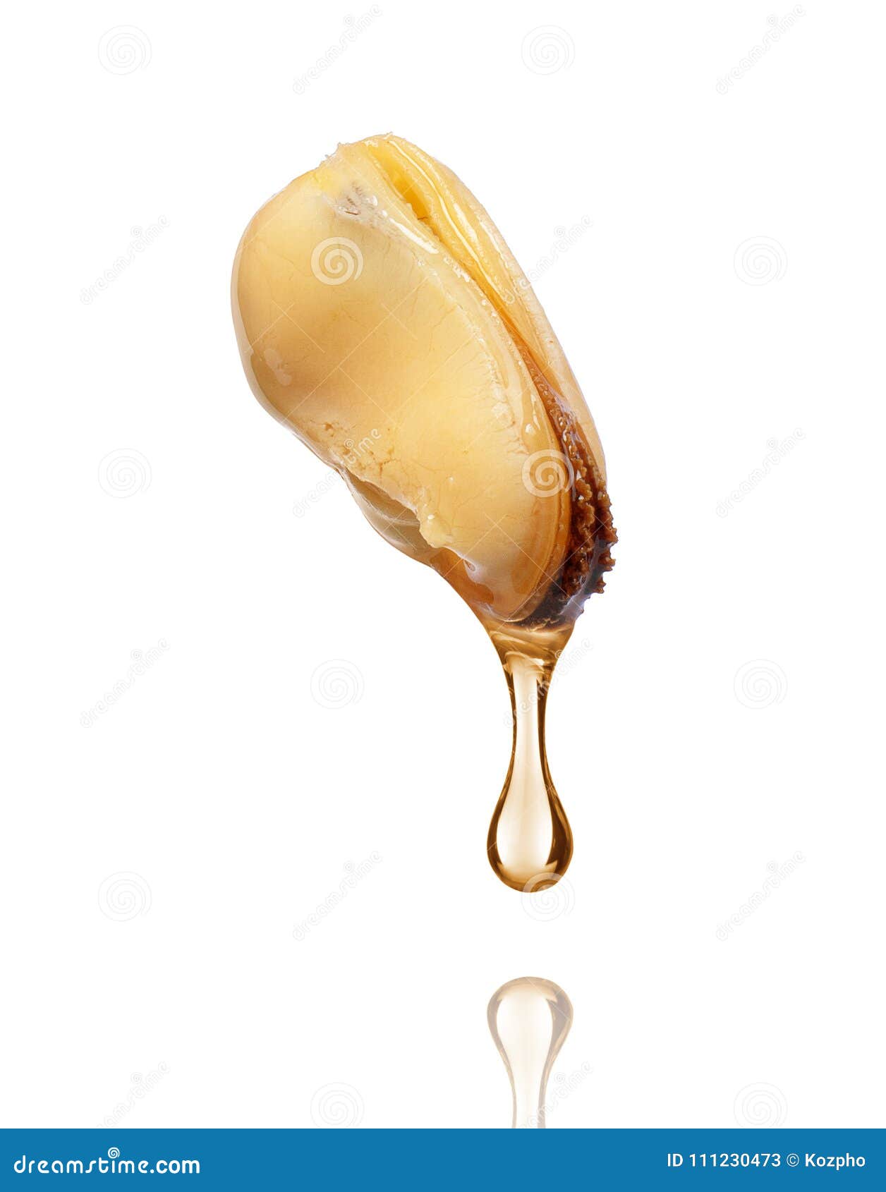 Mussel in Oil Close-up on White Background Stock Image - Image of drop ...