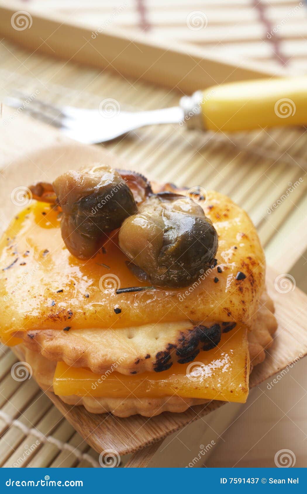 Mussel starter stock image. Image of spatula, mussel, roast - 7591437