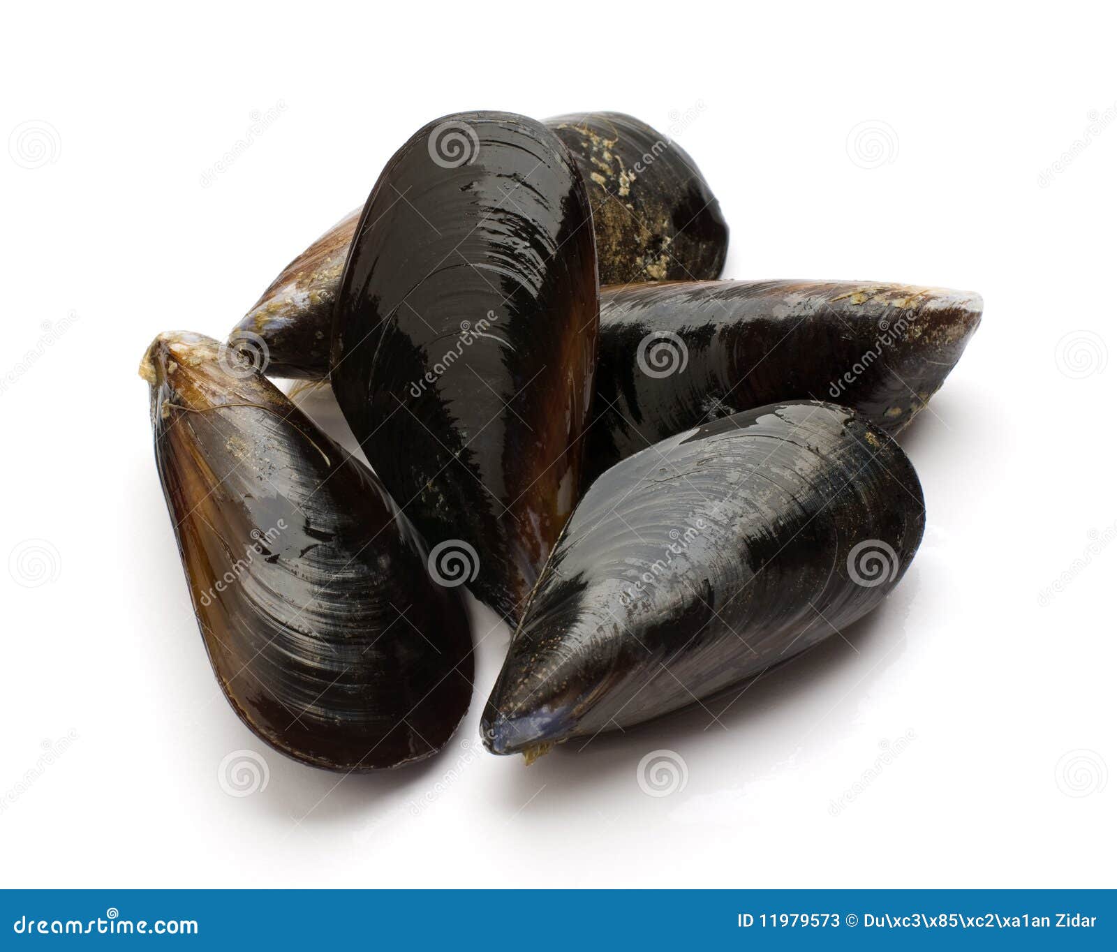 Mussels stock image. Image of black, shells, healthy - 11979573