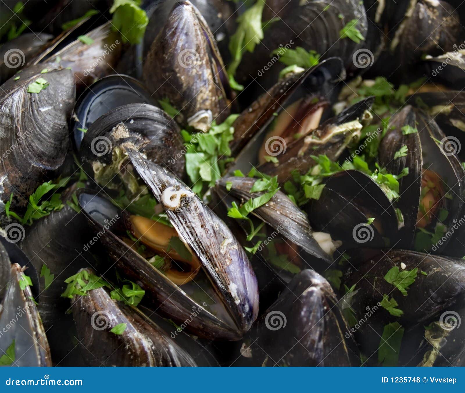 Mussels stock photo. Image of sauce, parsley, seafood - 1235748
