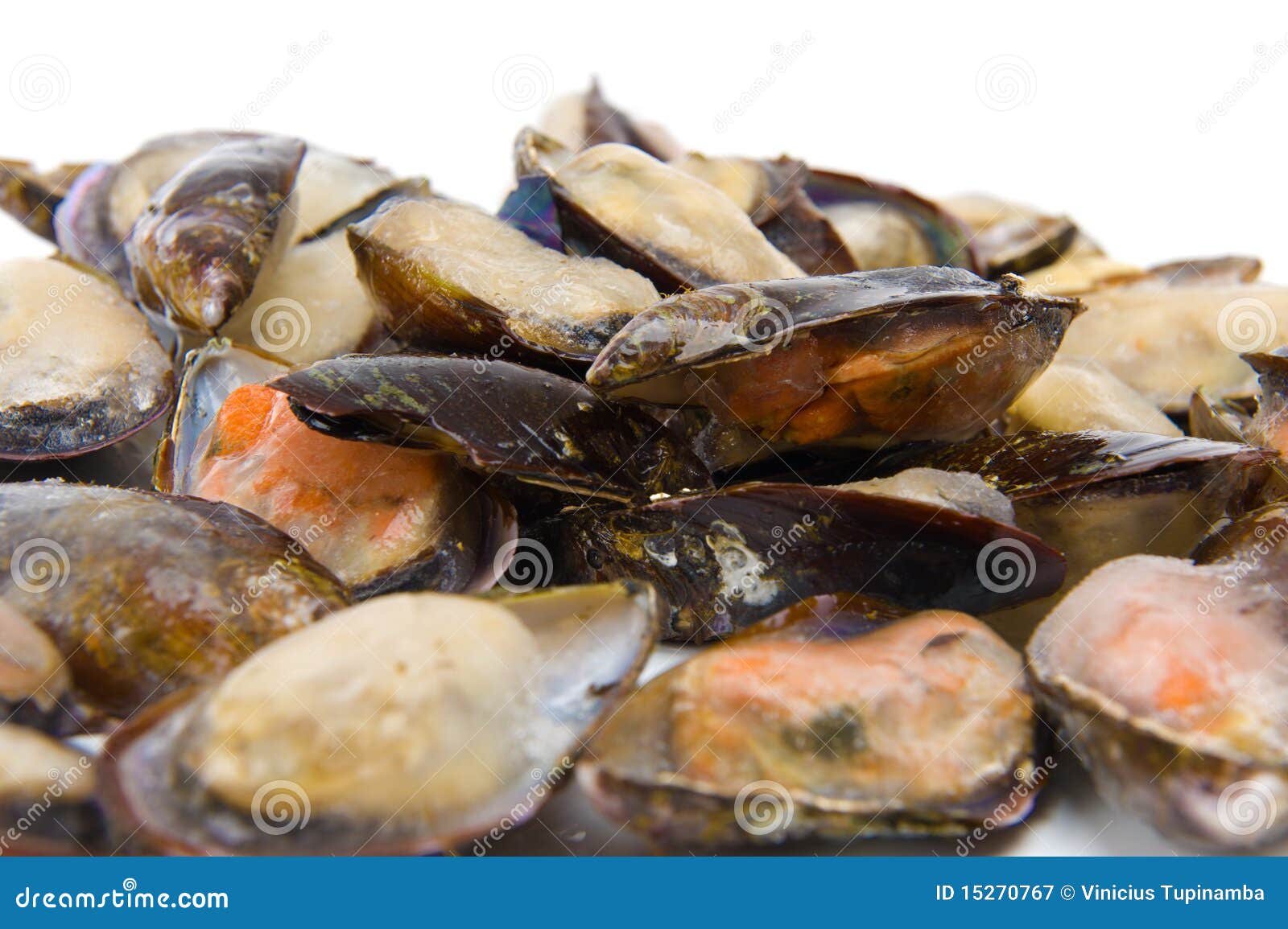 Mussels stock image. Image of mussel, close, shells, protein - 15270767
