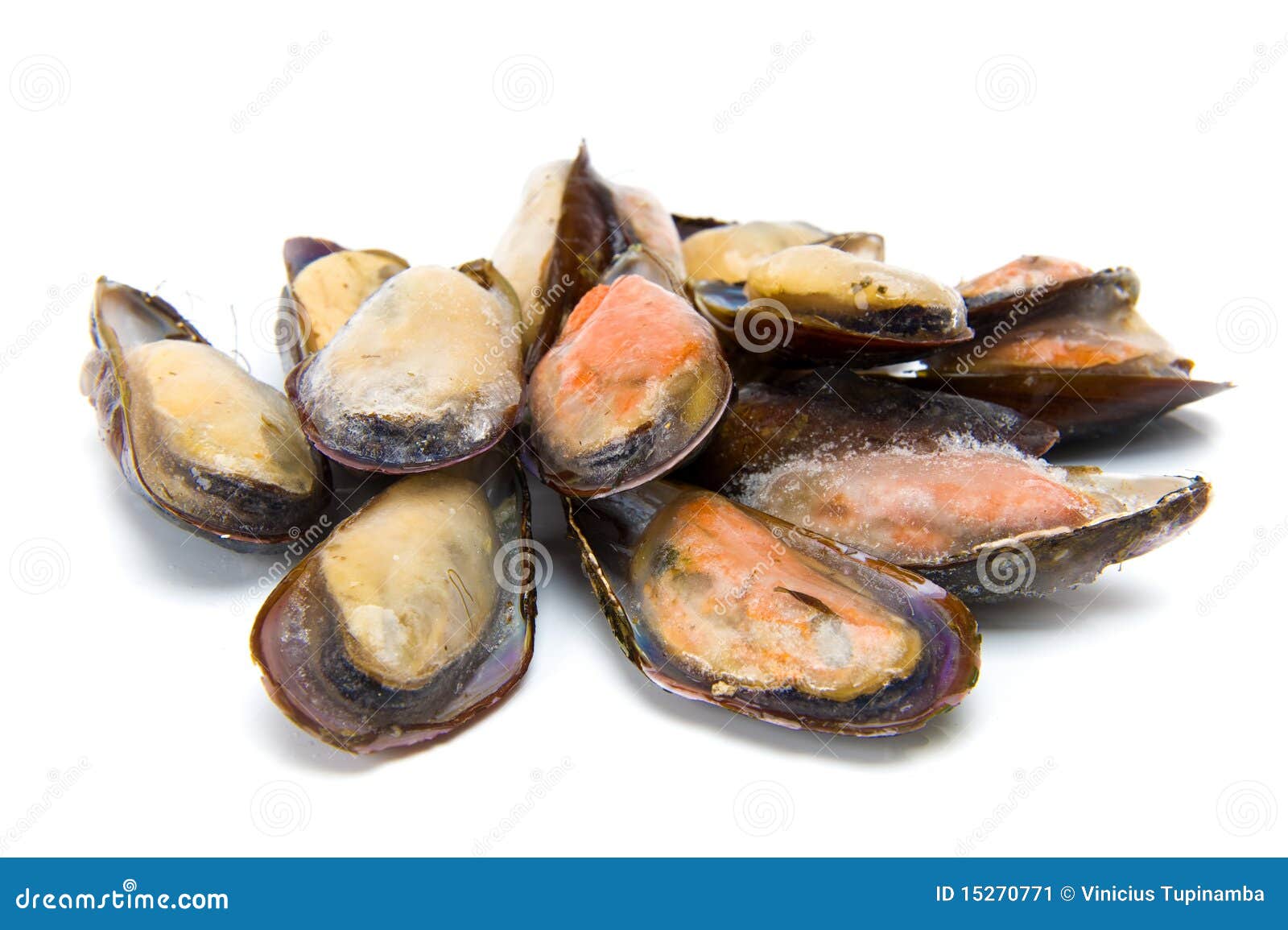 Mussels stock image. Image of food, tasty, mussels, color - 15270771