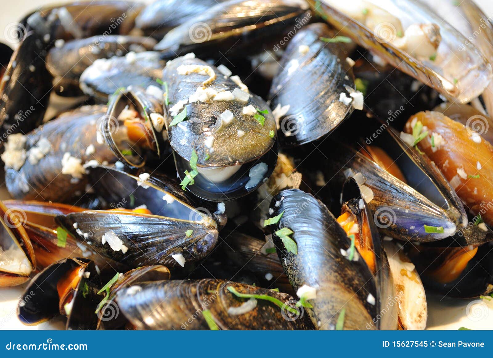 Mussels stock image. Image of shell, shellfish, food - 15627545