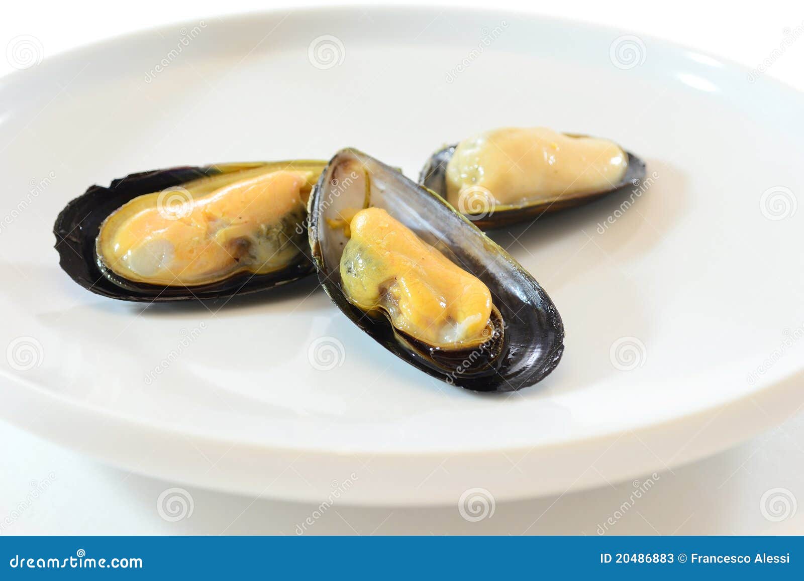Mussels stock image. Image of ingredients, marine, dish - 20486883