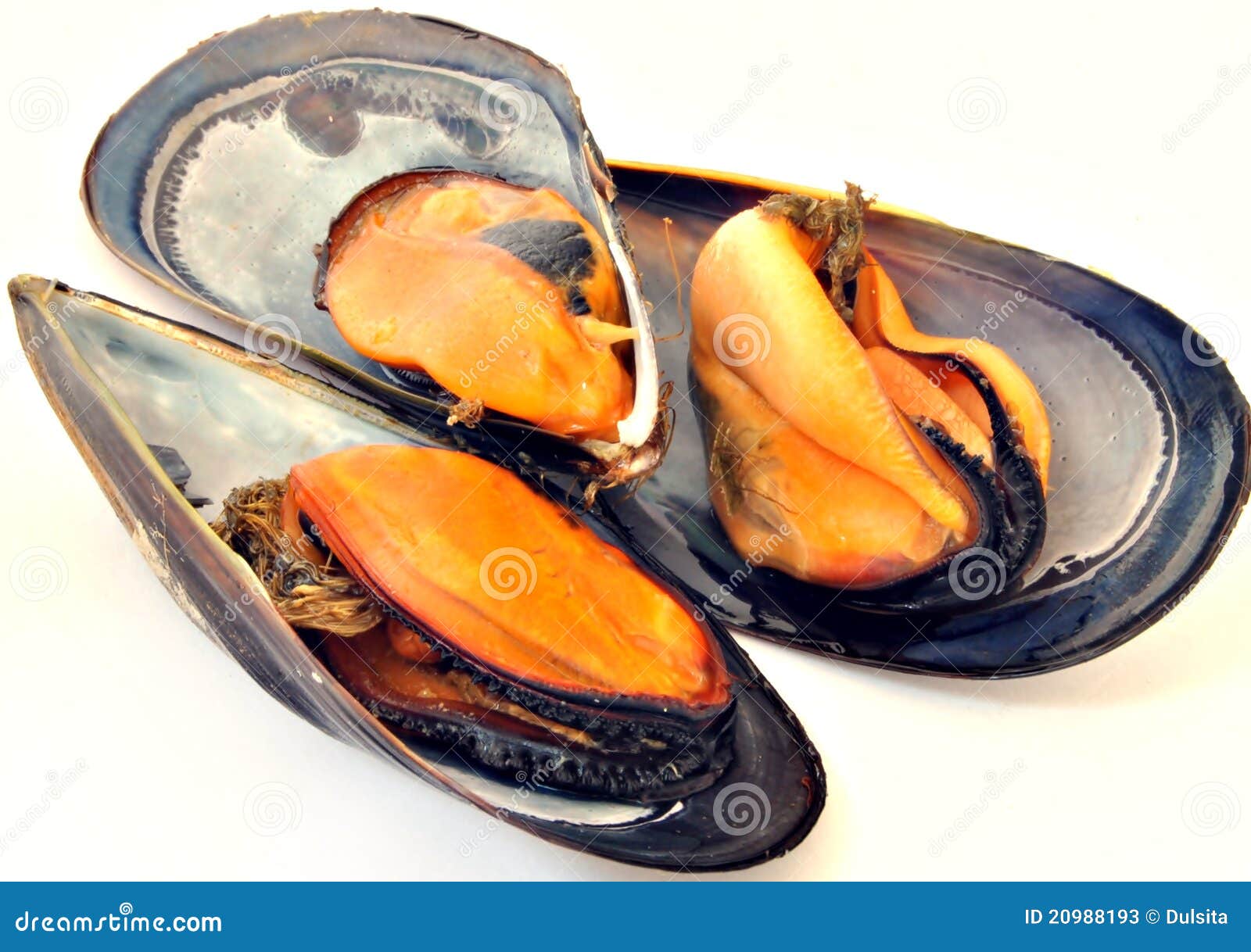 Mussels Stacked Photos - Free & Royalty-Free Stock Photos from Dreamstime