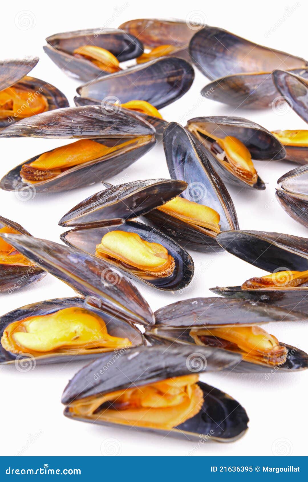 Mussels stock image. Image of cuisine, seafood, group - 21636395