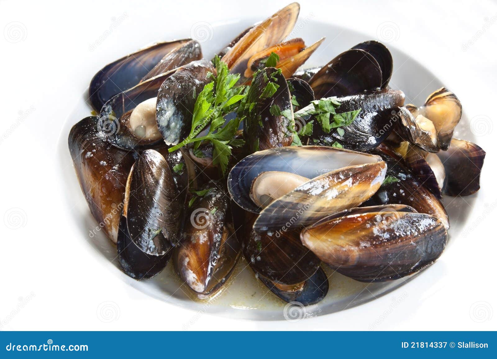 Mussels stock image. Image of starter, cooked, dish, striped - 21814337