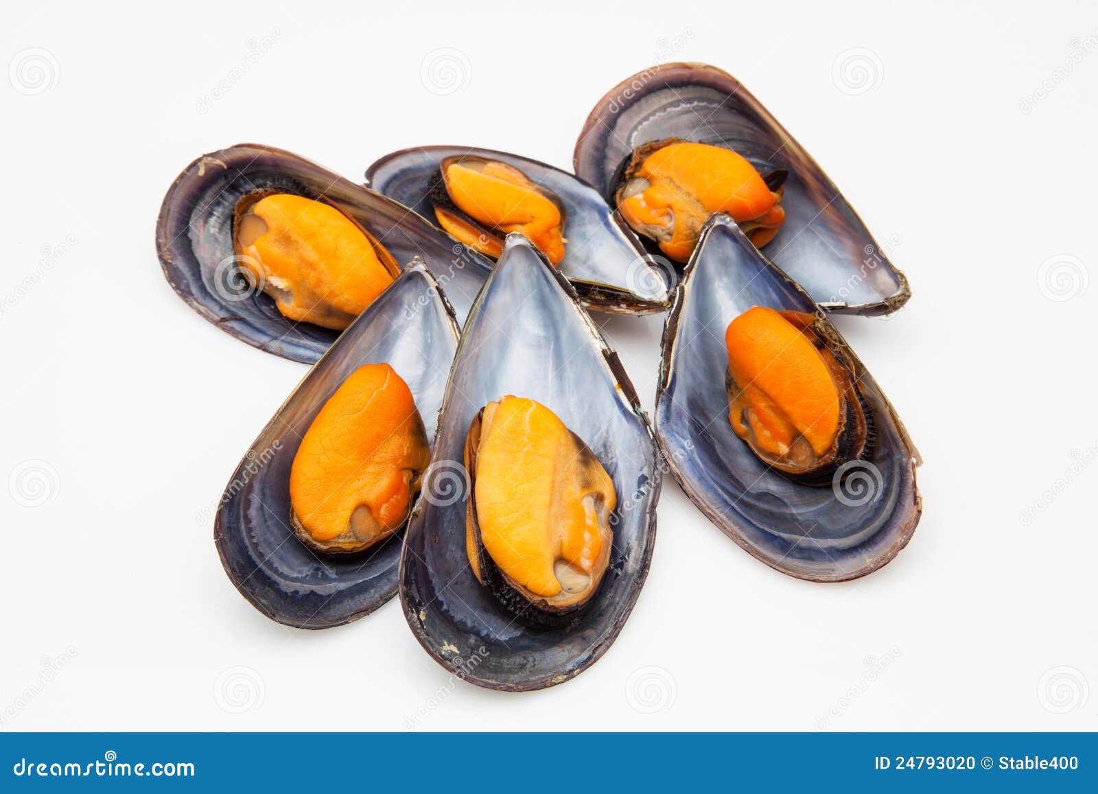 Mussels stock photo. Image of appetizer, fresh, cooking - 24793020