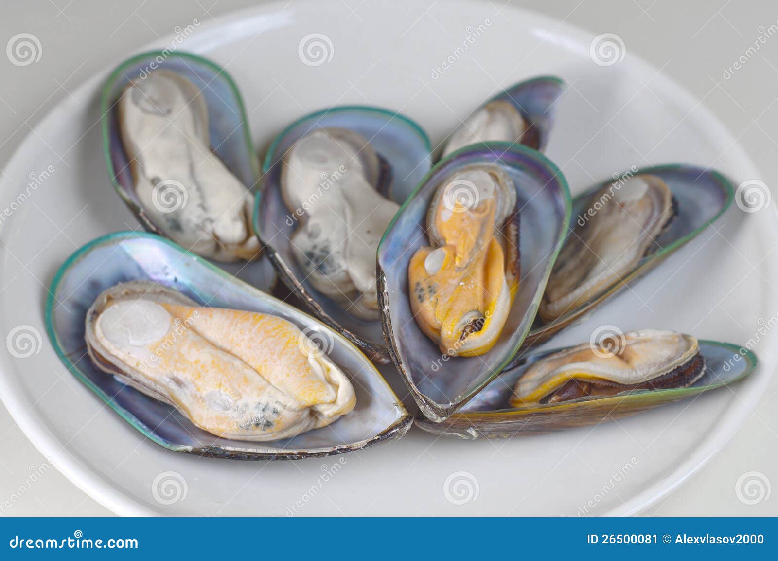 Mussels stock image. Image of closeup, freshness, orange - 26500081