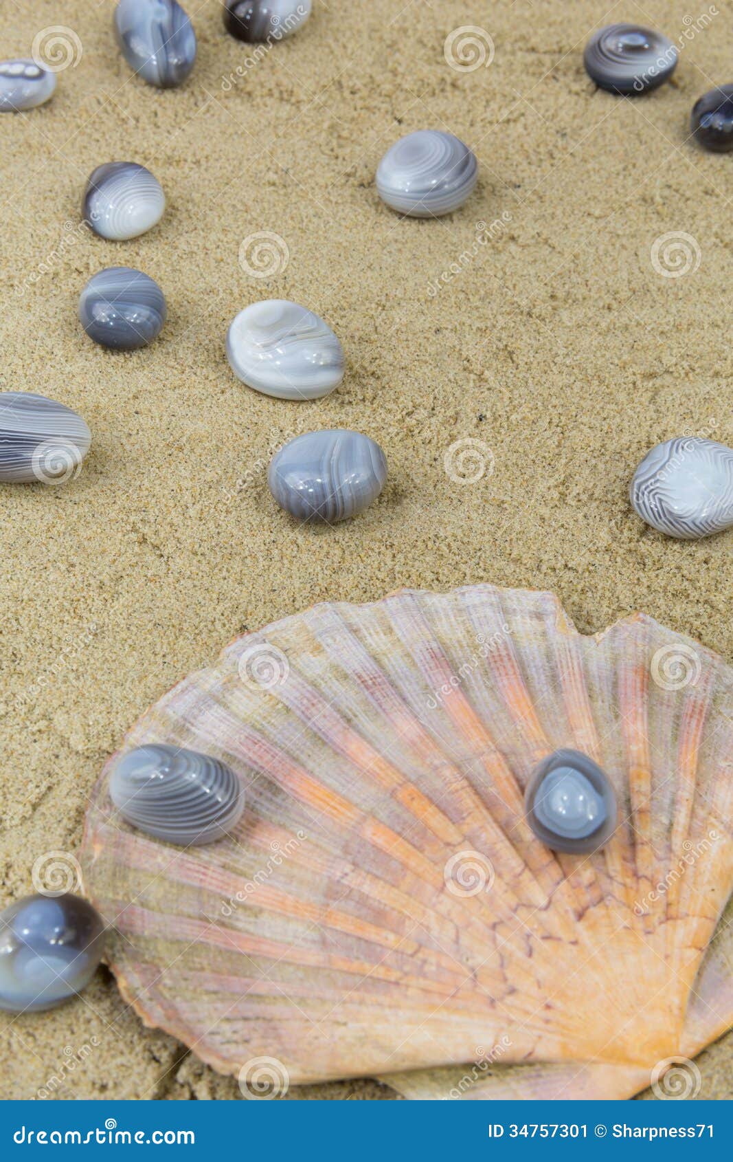 Mussels agates stock image. Image of house, snails, crustaceans - 34757301