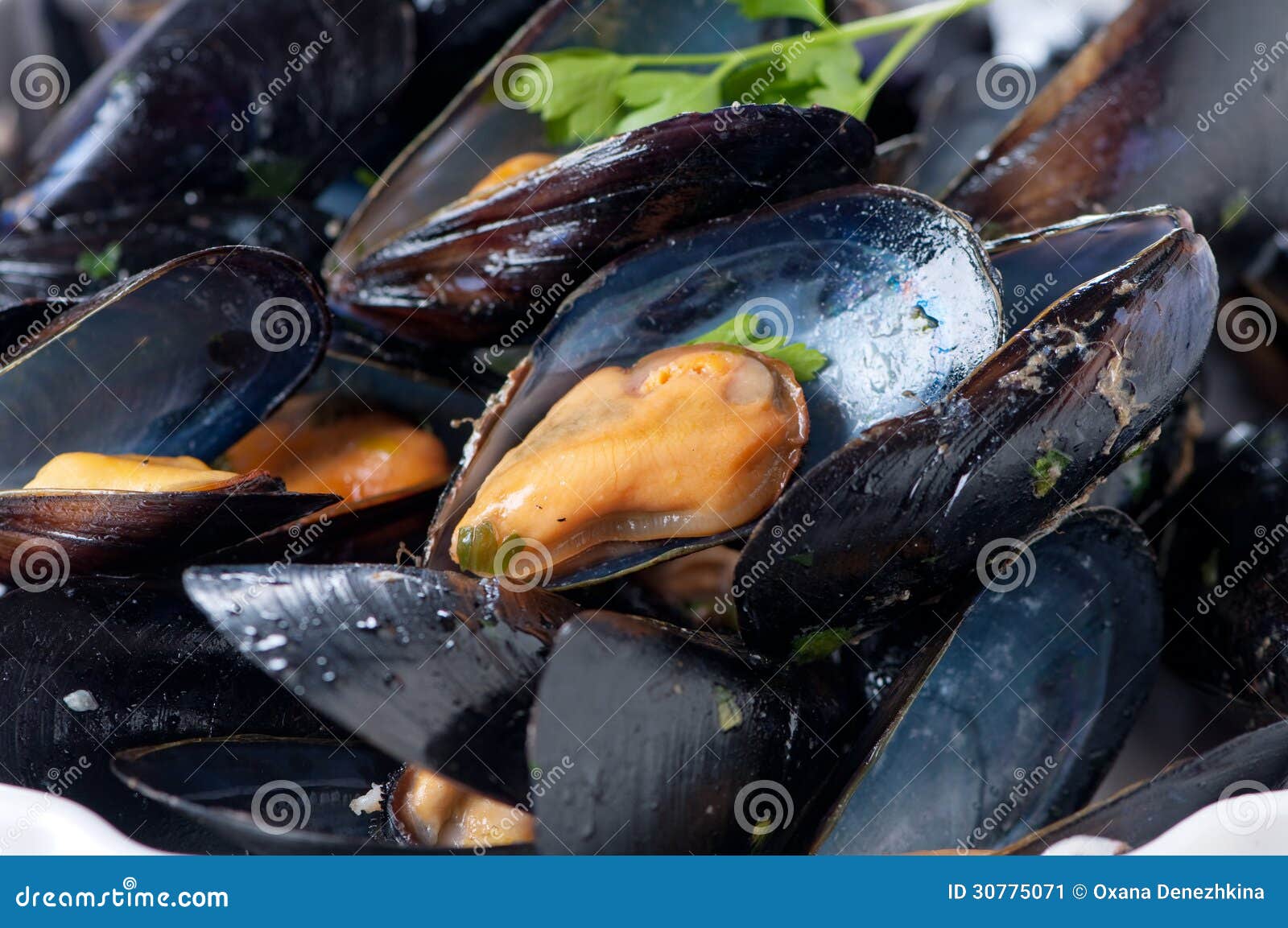 Mussels stock image. Image of close, cook, mussels, bowl - 30775071