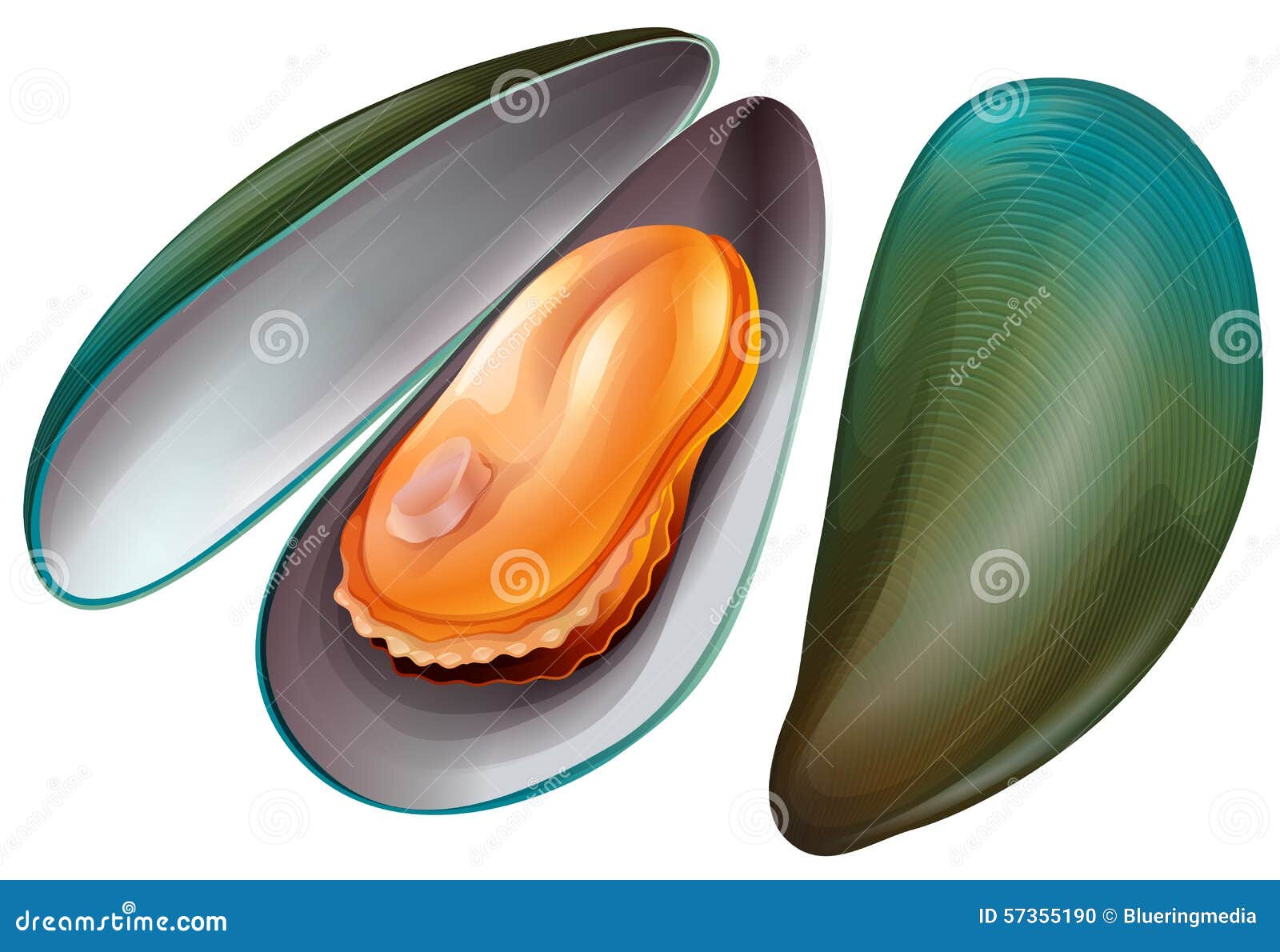Mussels Cartoons, Illustrations & Vector Stock Images - 3181 Pictures ...