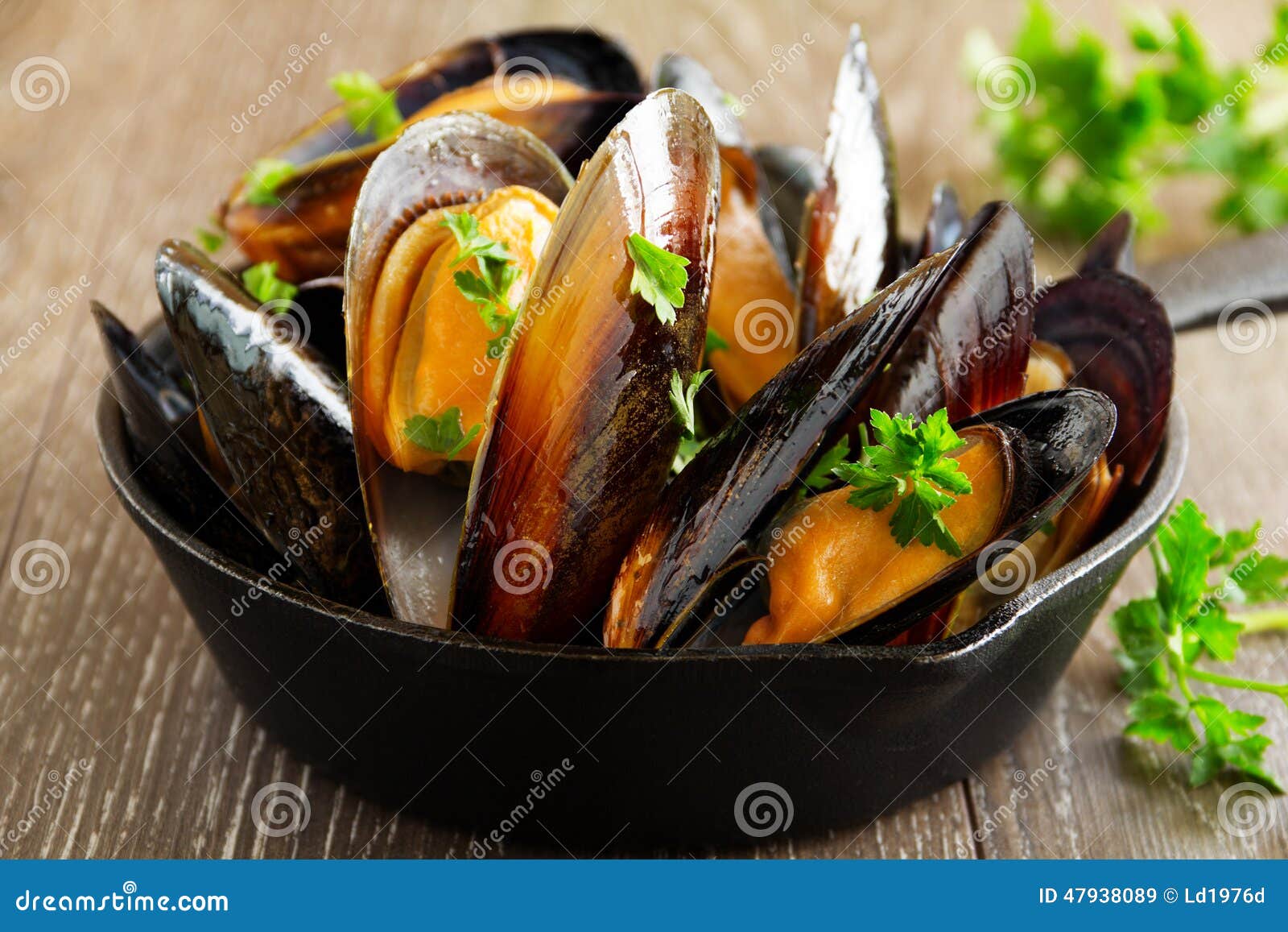 24,302 Mussels Cooked Stock Photos - Free & Royalty-Free Stock Photos ...