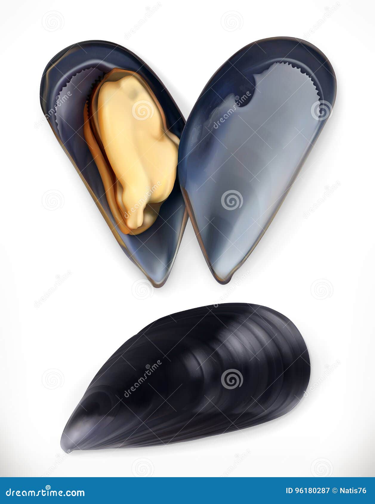 Mussels Nutrition Facts And Health Benefits Infographic Vector ...