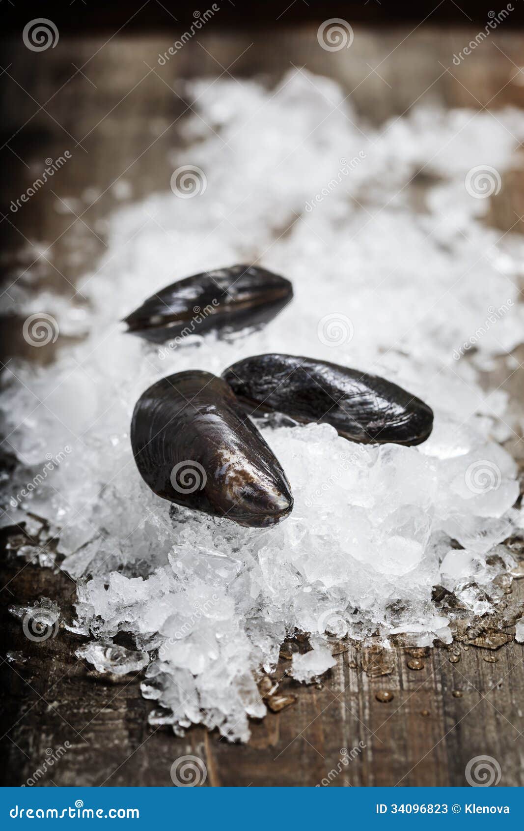Mussels stock image. Image of mole, close, food, delicious - 34096823