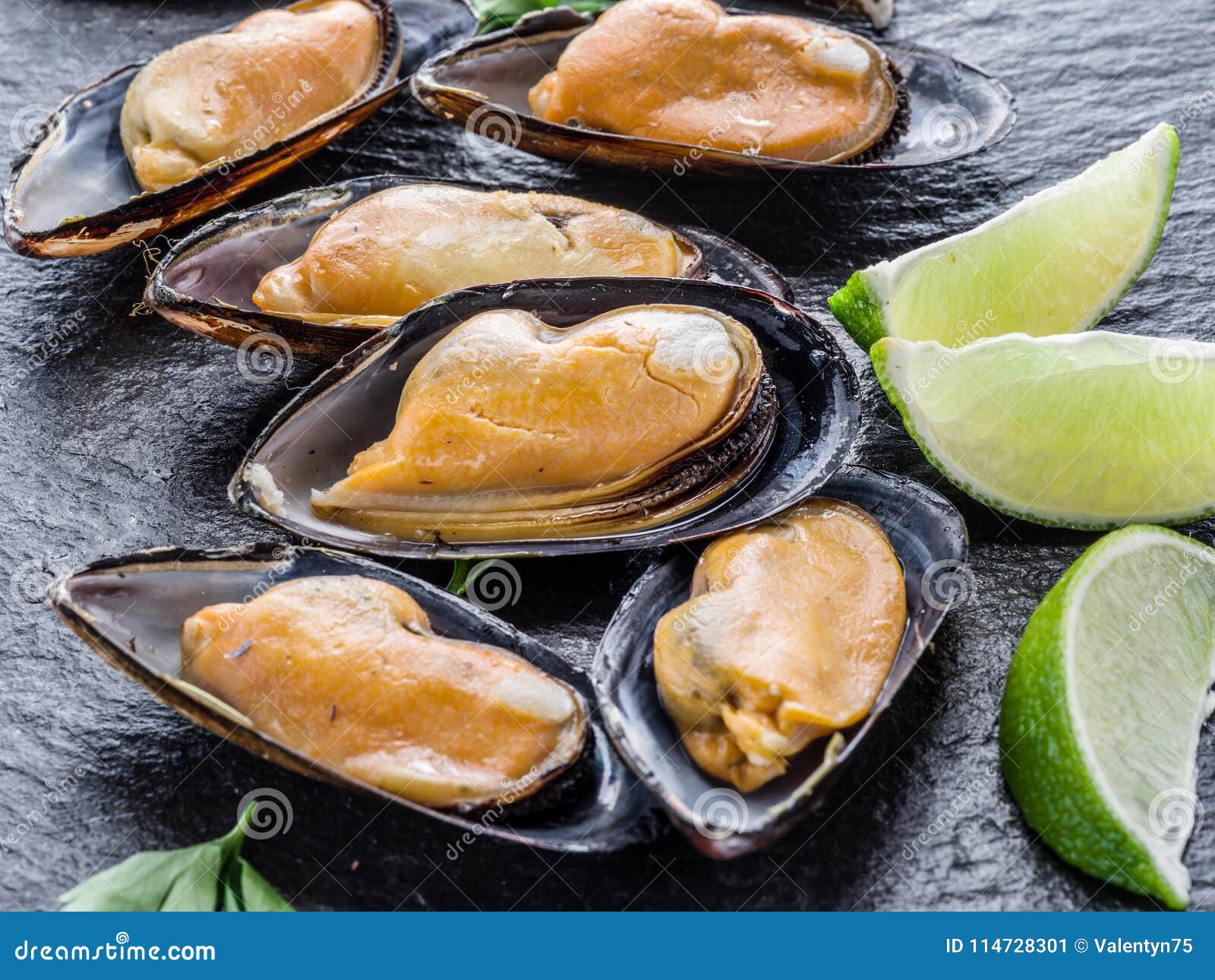 Mussels on the Graphite Background. Stock Image - Image of high ...