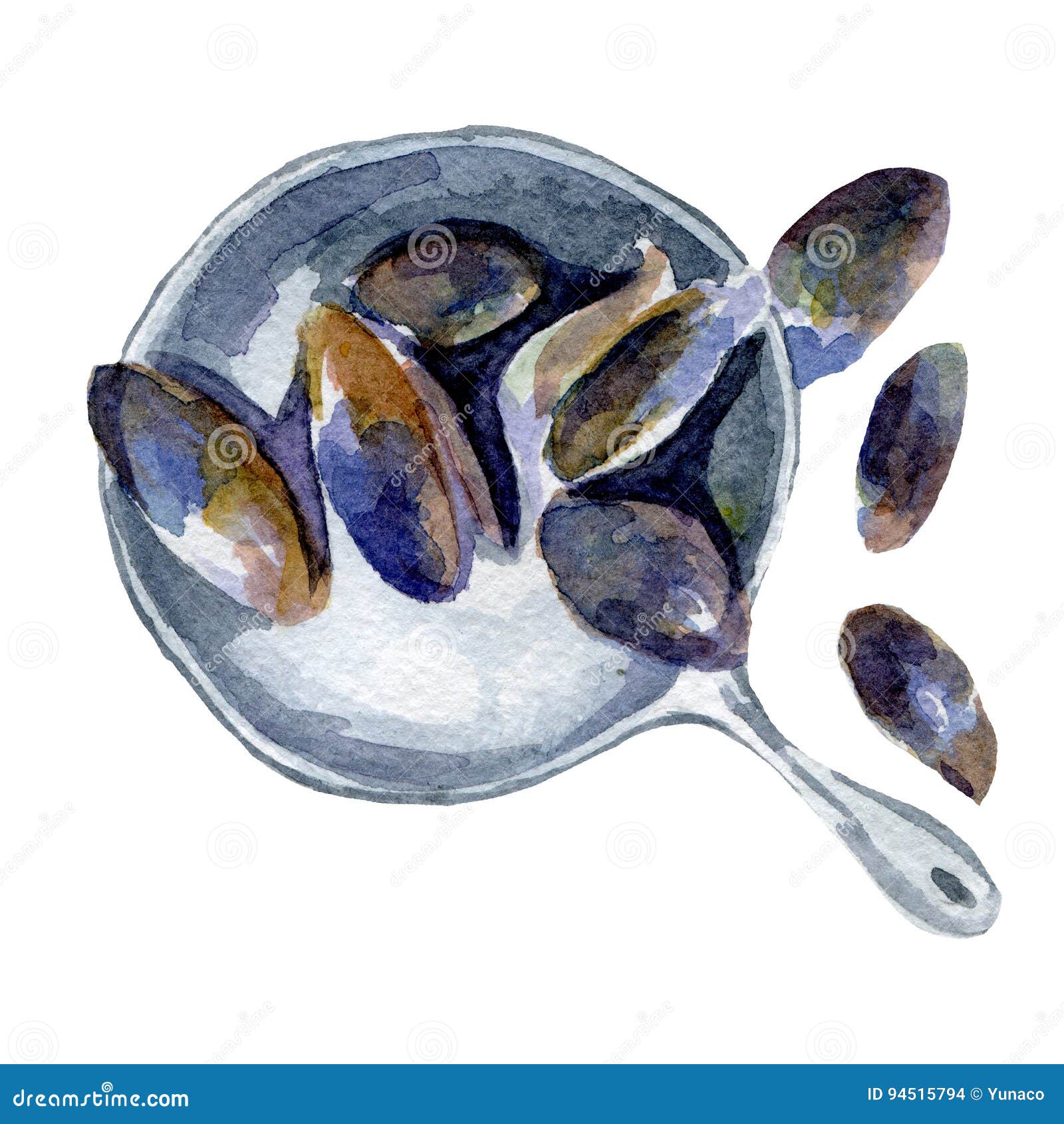 Mussels Illustration. Hand Drawn Watercolor on White Background. Stock ...