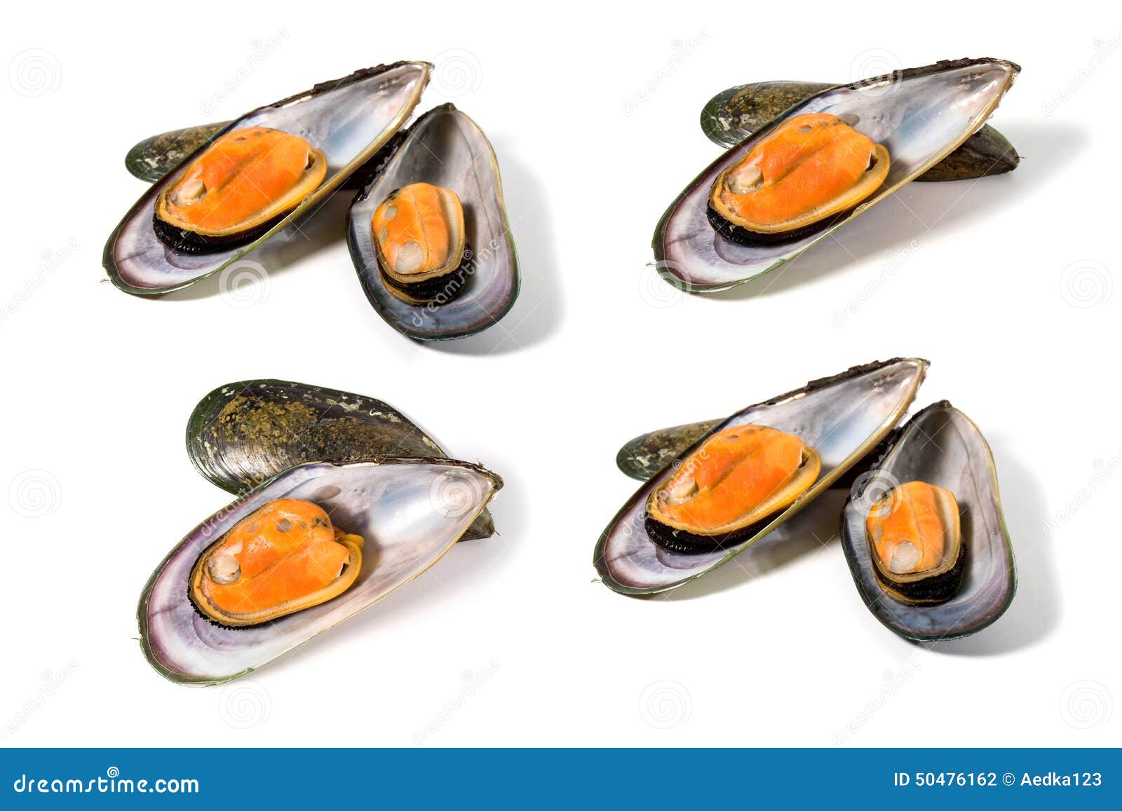 Mussels stock photo. Image of molluscs, seafood, food - 50476162