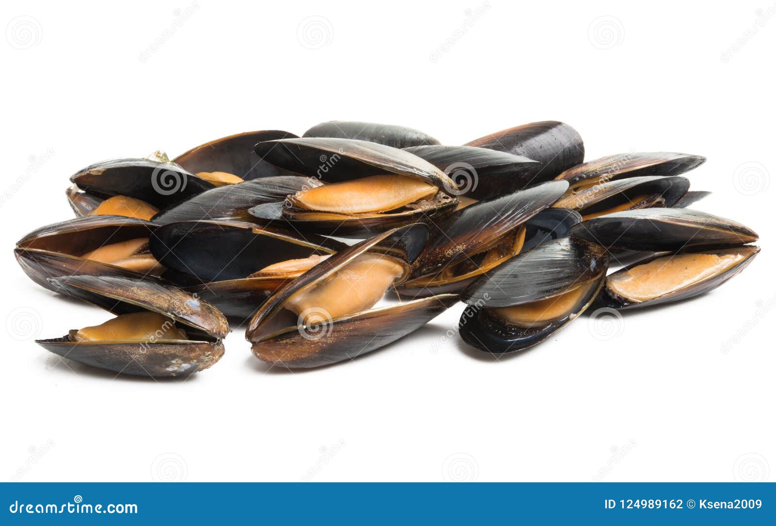 Mussels isolated stock photo. Image of mussels, healthy - 124989162