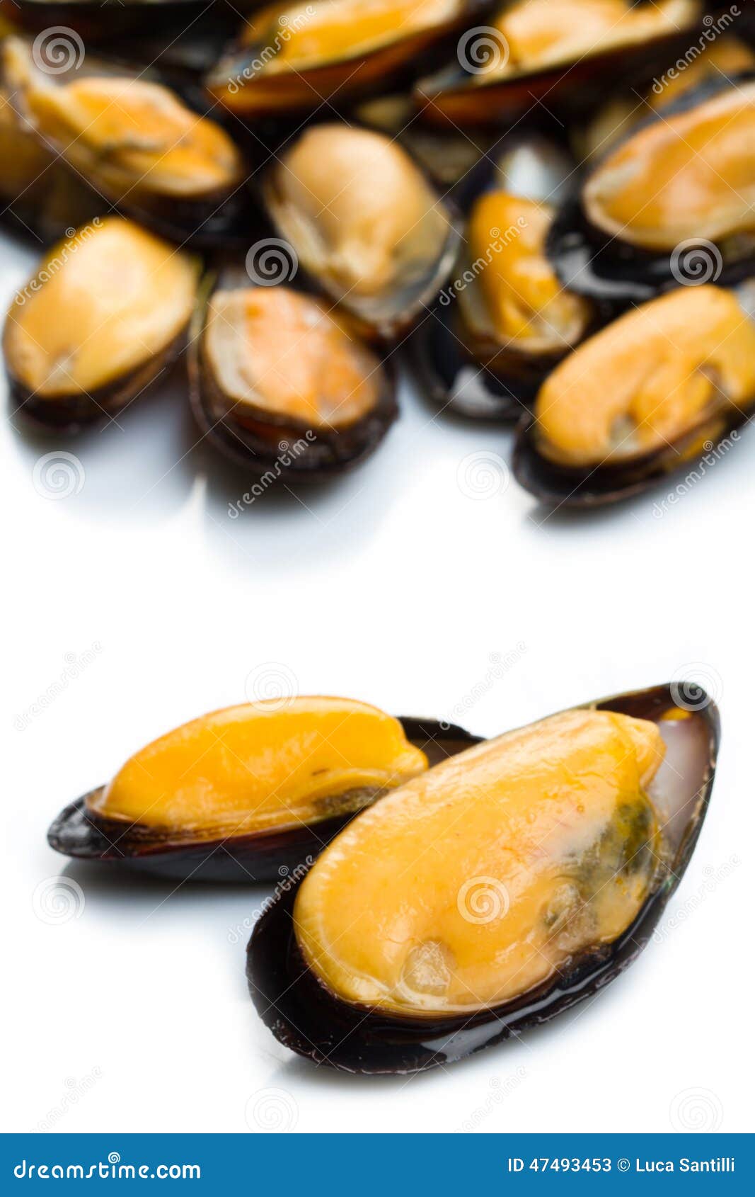 Mussels Isolated on White Background Stock Image - Image of gourmet ...
