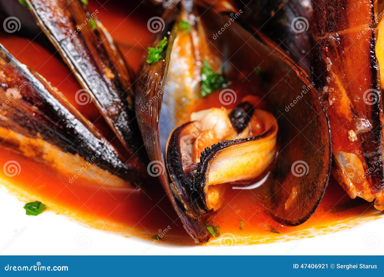 Mussels in Italian Rustic Style Stock Image - Image of detail, macro ...
