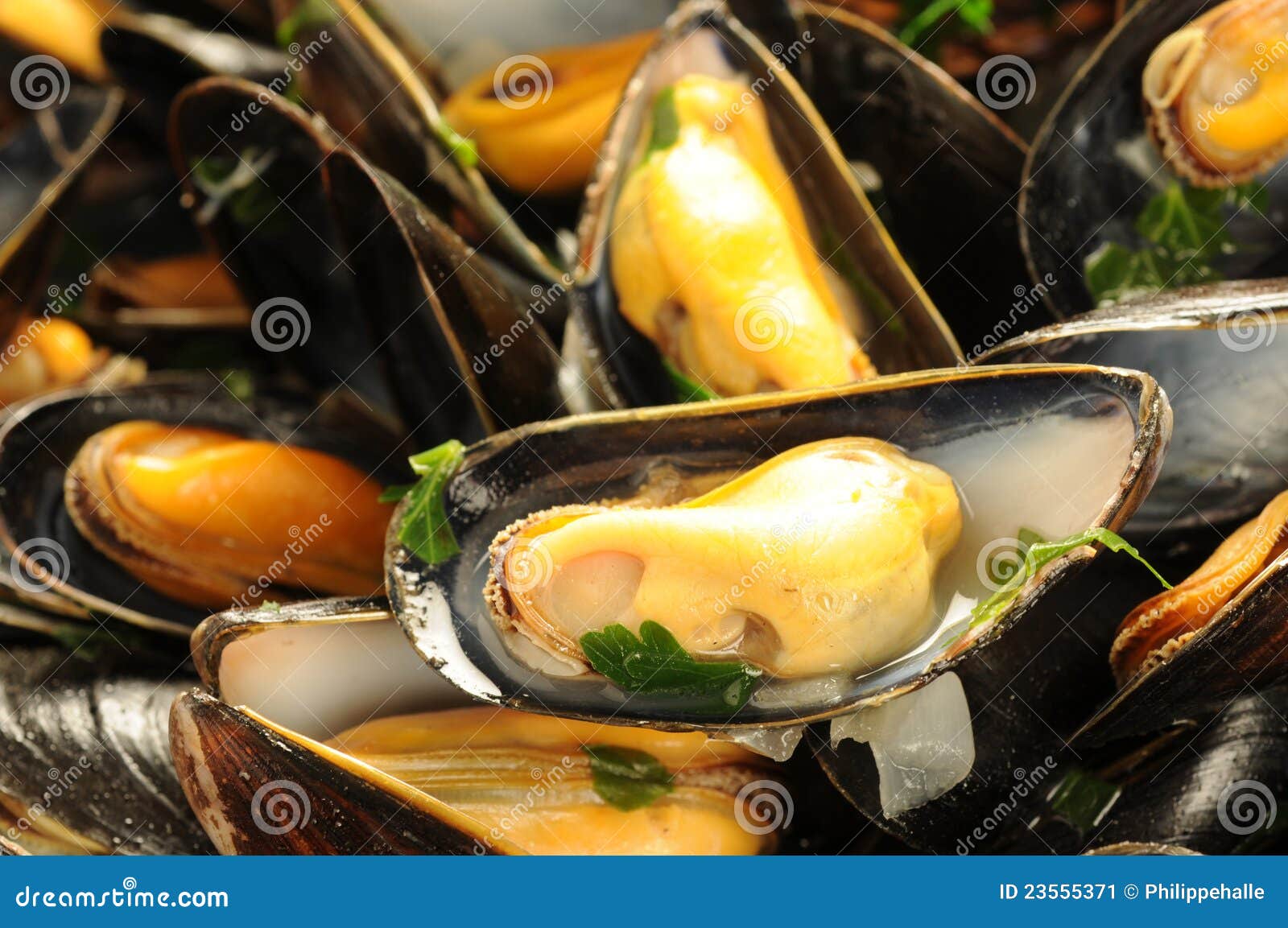 Mussels mariniere stock image. Image of fresh, fisherman - 23555371
