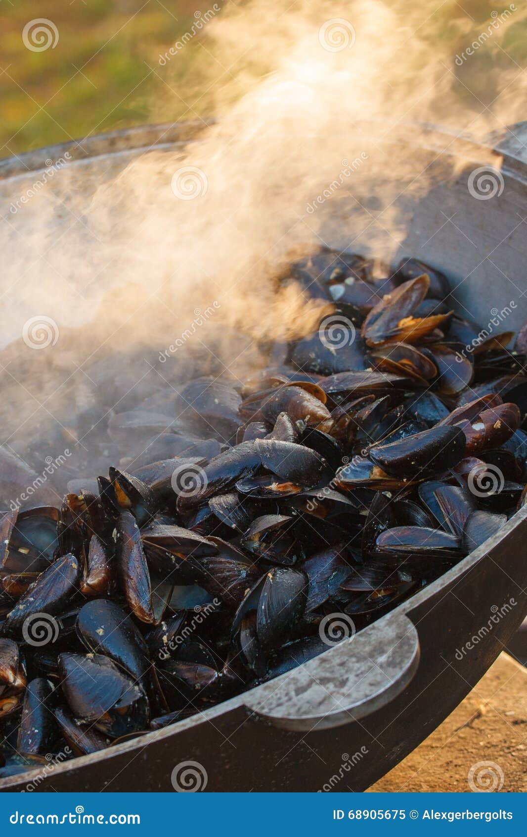 Mussels are the nature stock image. Image of drink, nautical - 68905675