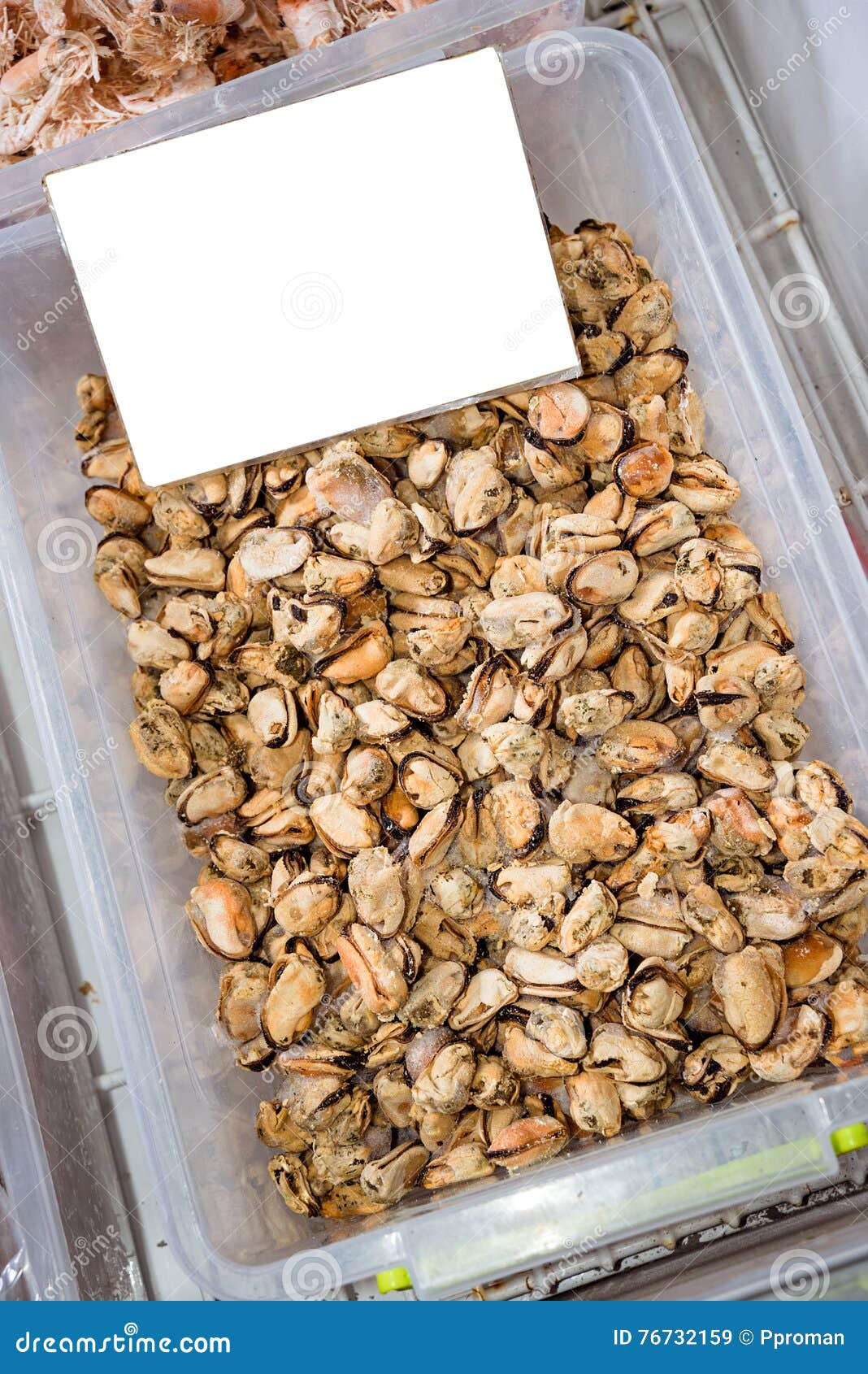 Mussels in plastic box stock image. Image of culinary - 76732159