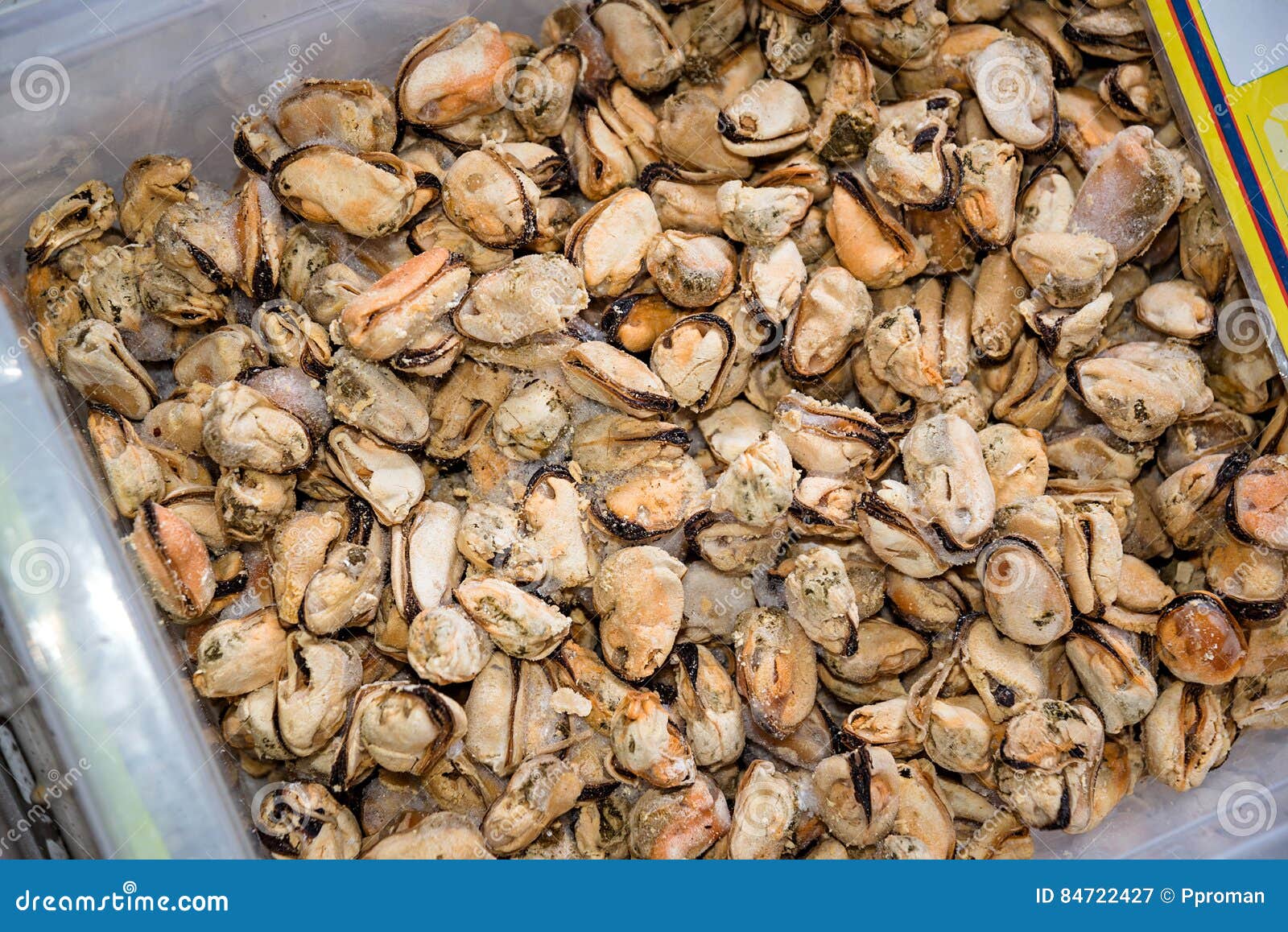 Mussels in plastic box stock image. Image of common, culinary - 84722427