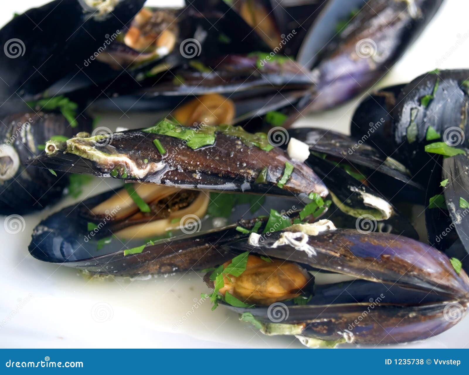 Mussels on the plate stock photo. Image of summer, dinner - 1235738