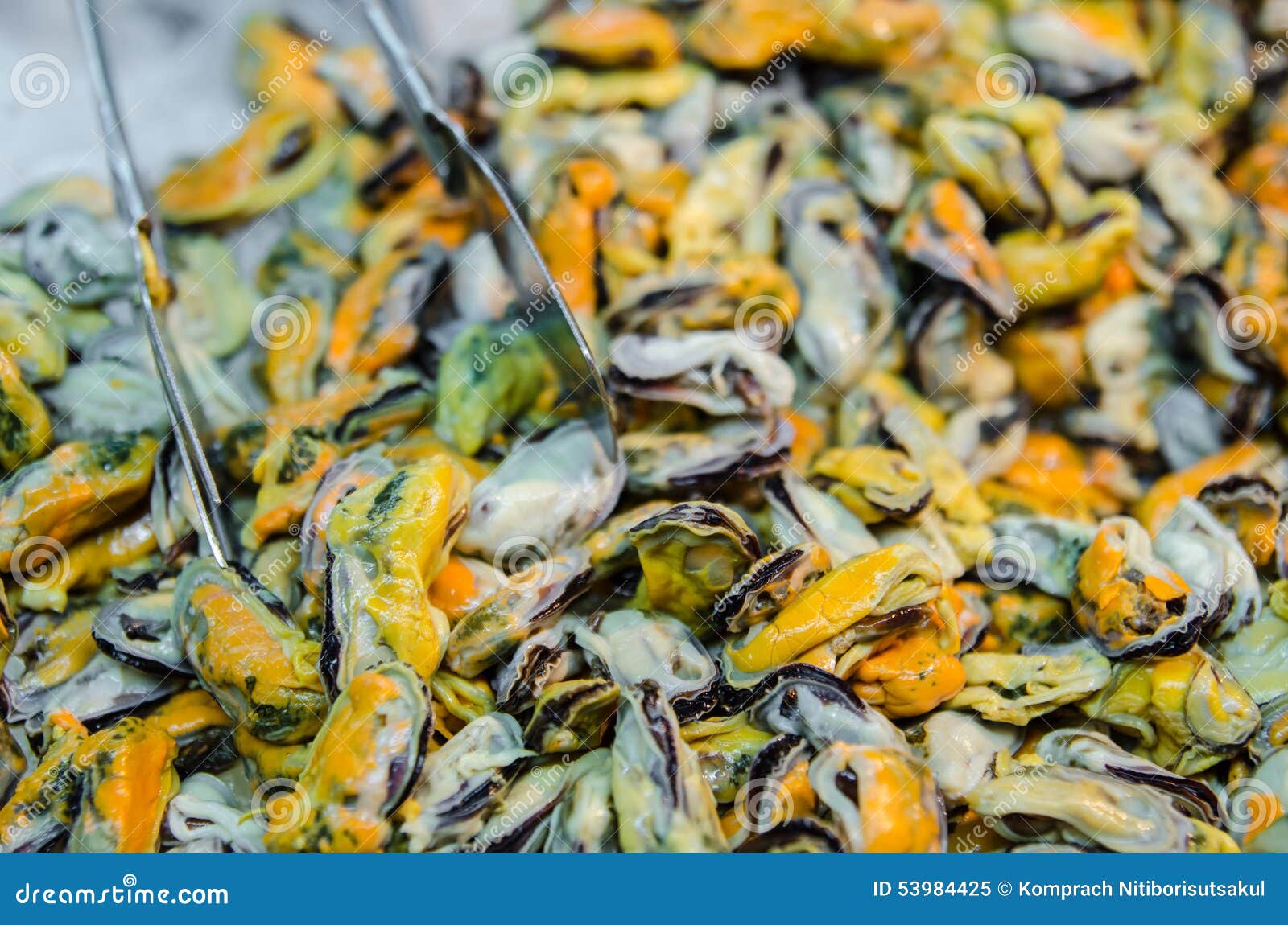 Mussels stock image. Image of mussels, cook, animal, dead - 53984425