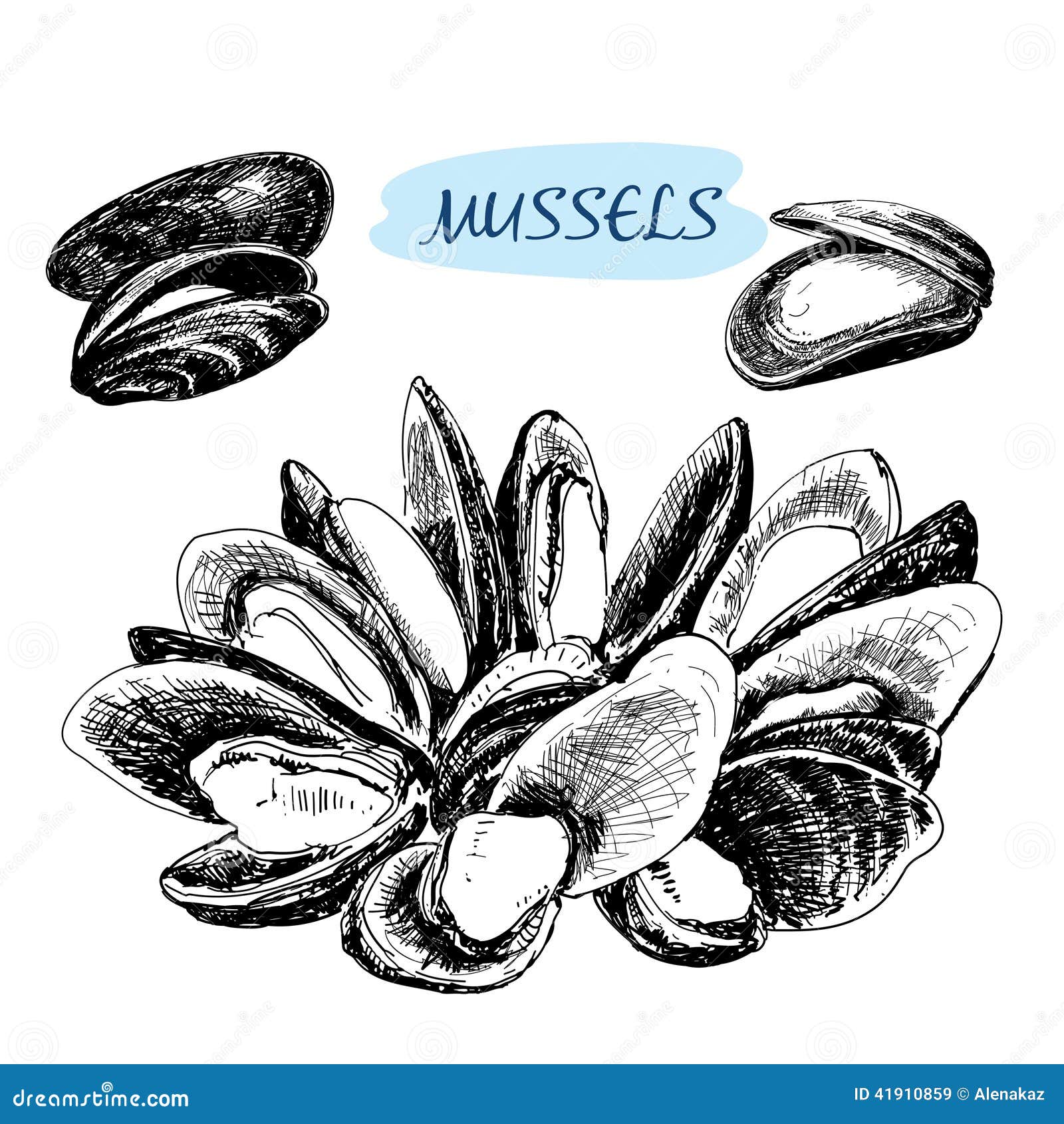 Mussels. stock vector. Illustration of cook, dainty, clams - 41910859