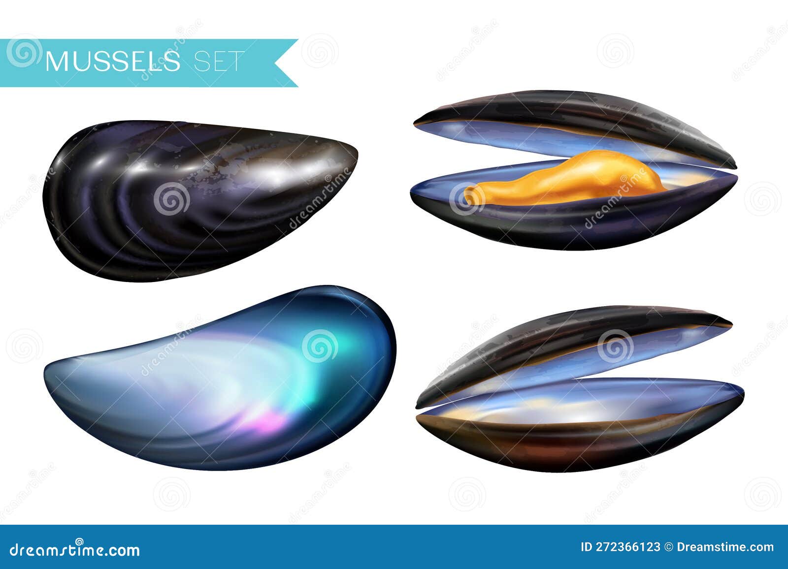 Mussels Shell Vector Design Realistic Illustration | CartoonDealer.com ...