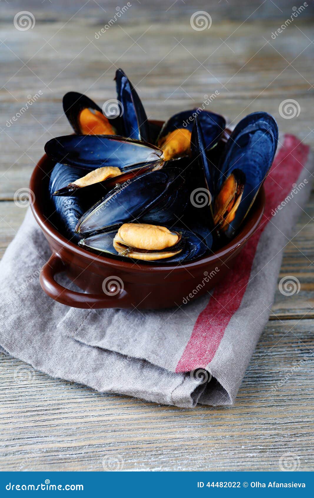 Mussels in the shell stock photo. Image of mariniere - 44482022