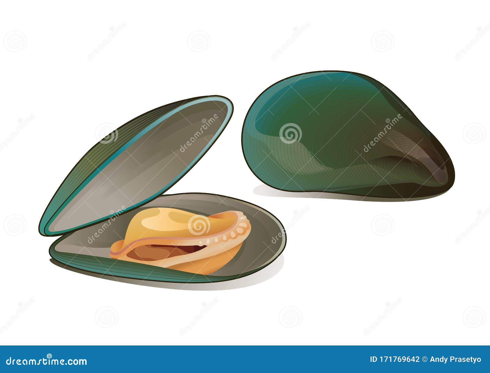 Mussels Shell Vector Design Realistic Illustration Stock Vector ...