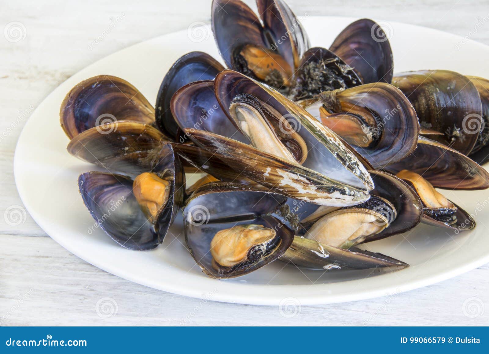 Mussels in the shell stock image. Image of shells, diet - 99066579