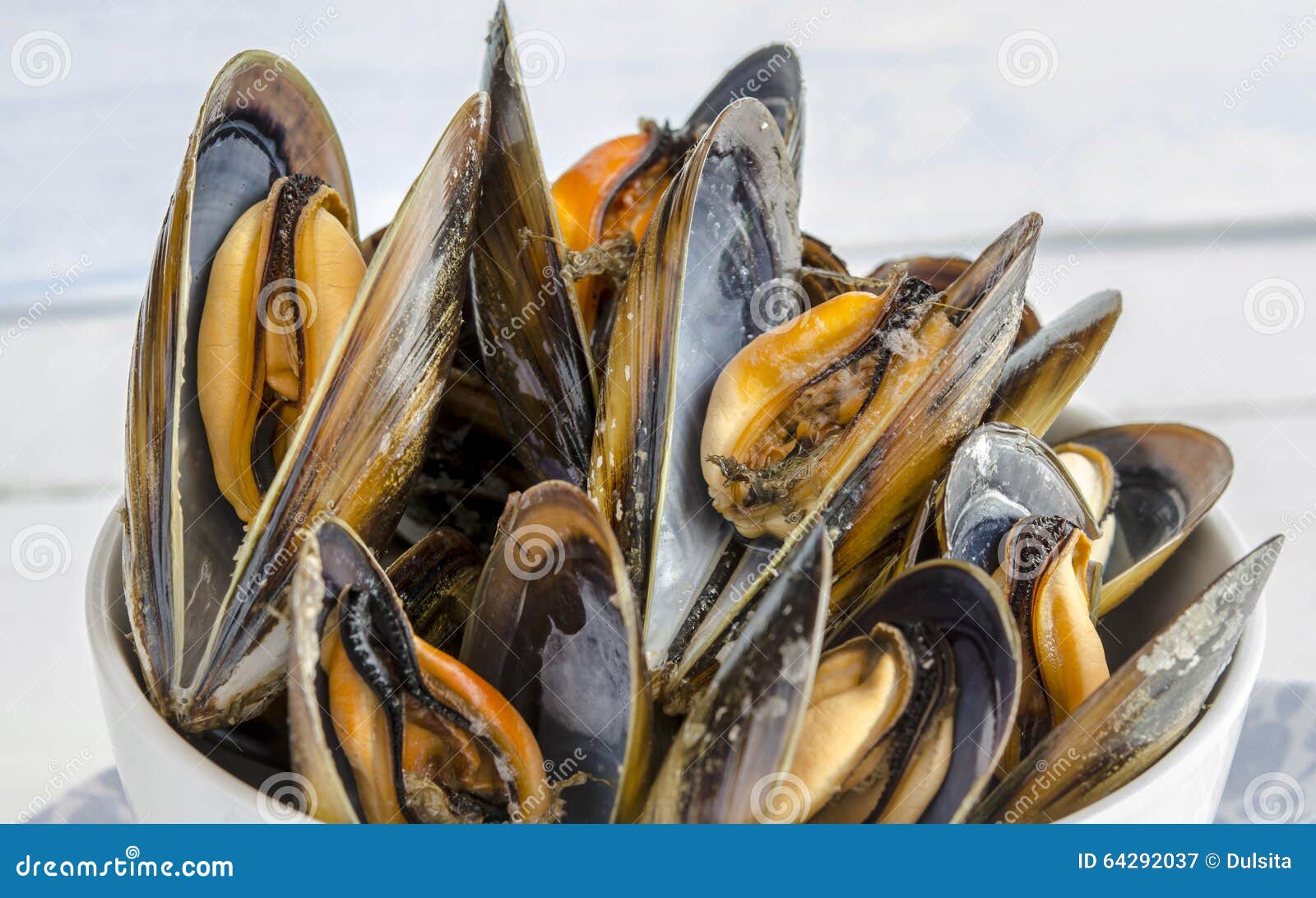 Mussels in the shell stock image. Image of mussel, crustacean - 64292037