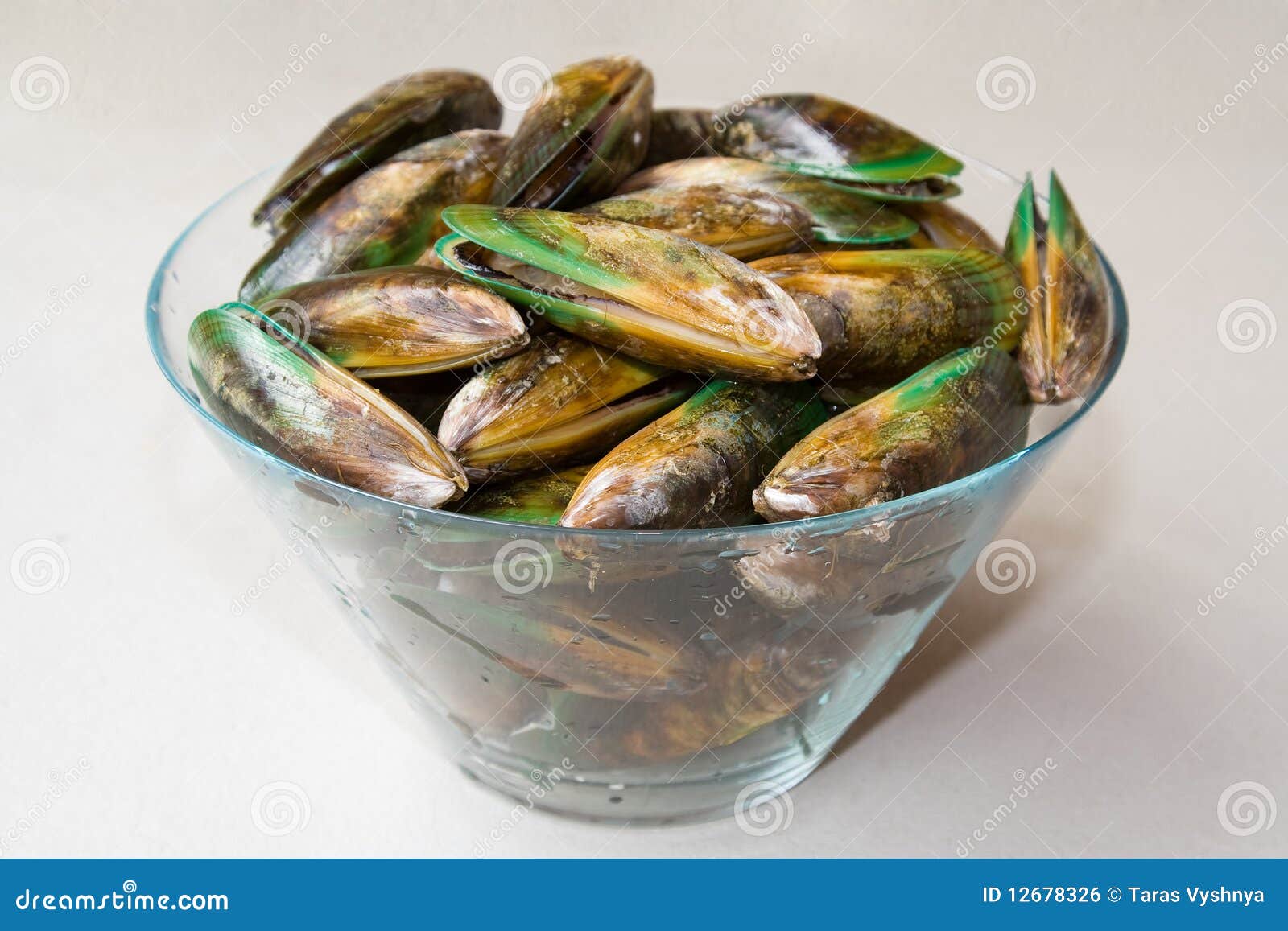 Mussels Side view stock photo. Image of cold, appetizer - 12678326