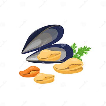 Mussels Vector Illustration in Flat Design Isolated on White Background ...