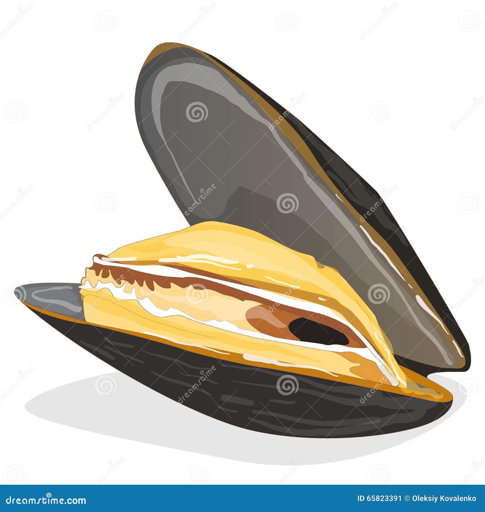 Mussels Vector Illustration Stock Vector - Illustration of ocean ...