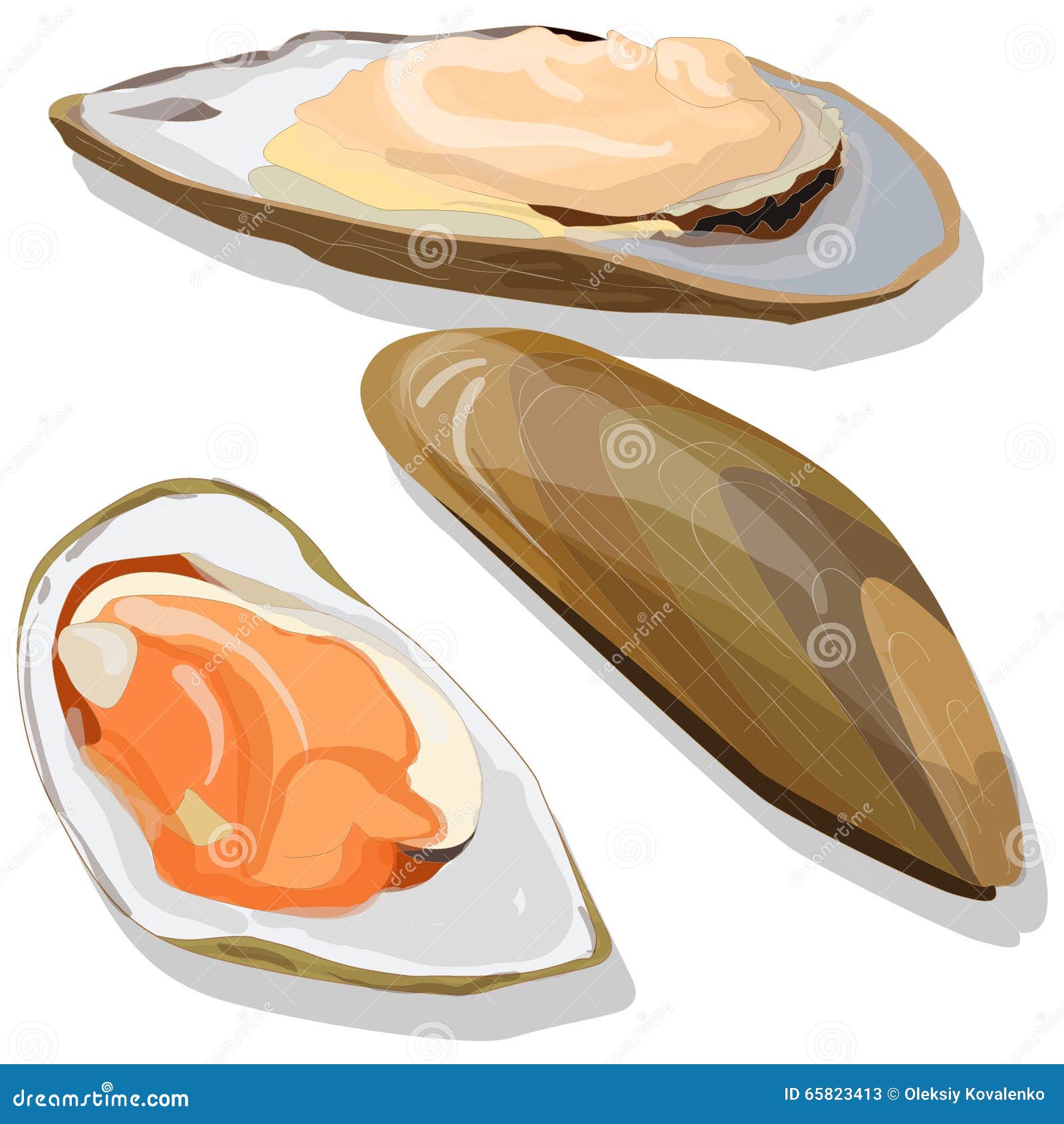 Mussels Vector Illustration Stock Vector - Illustration of food ...