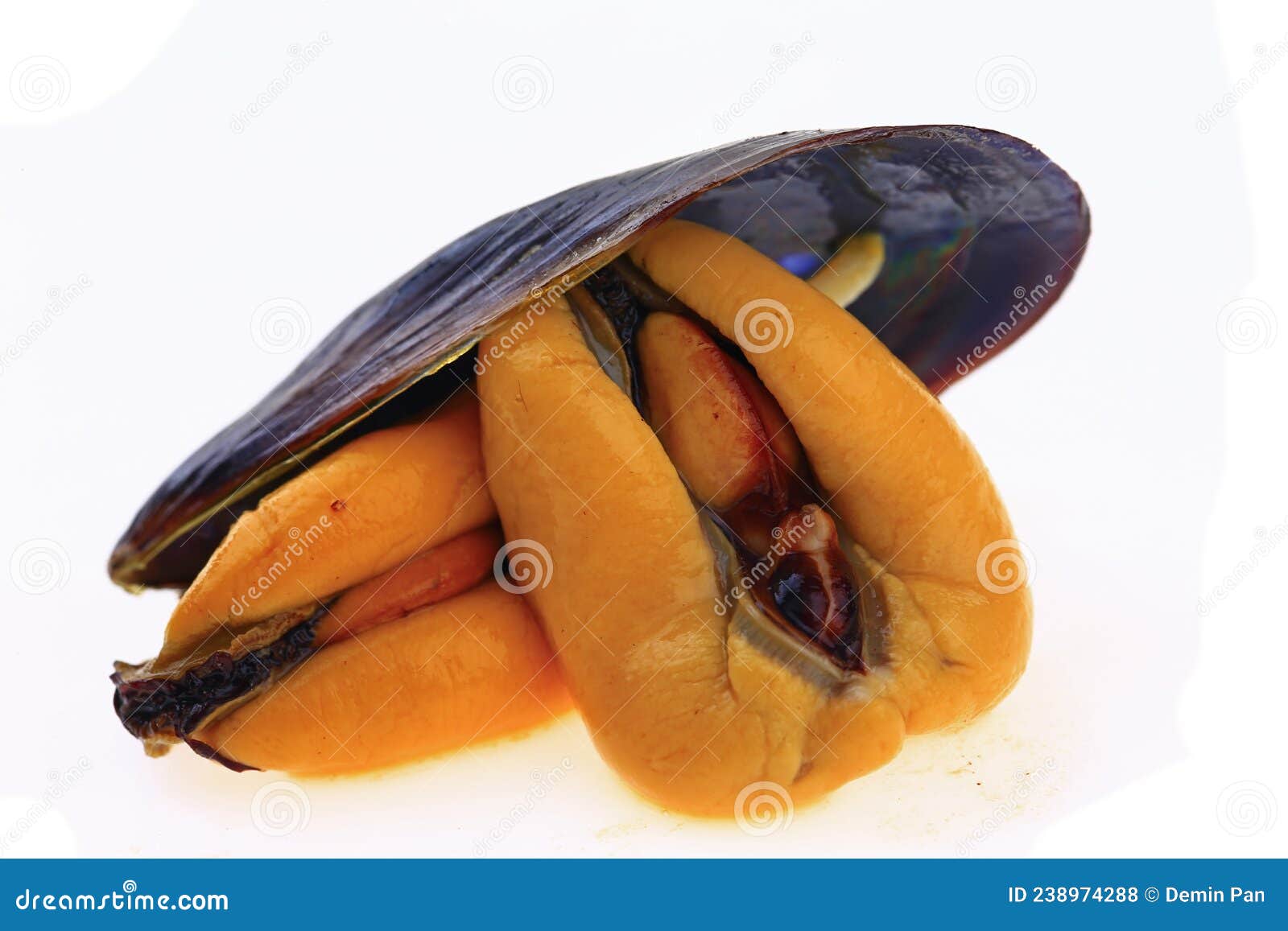 Mussels on a White Background Stock Photo - Image of fish, protein ...