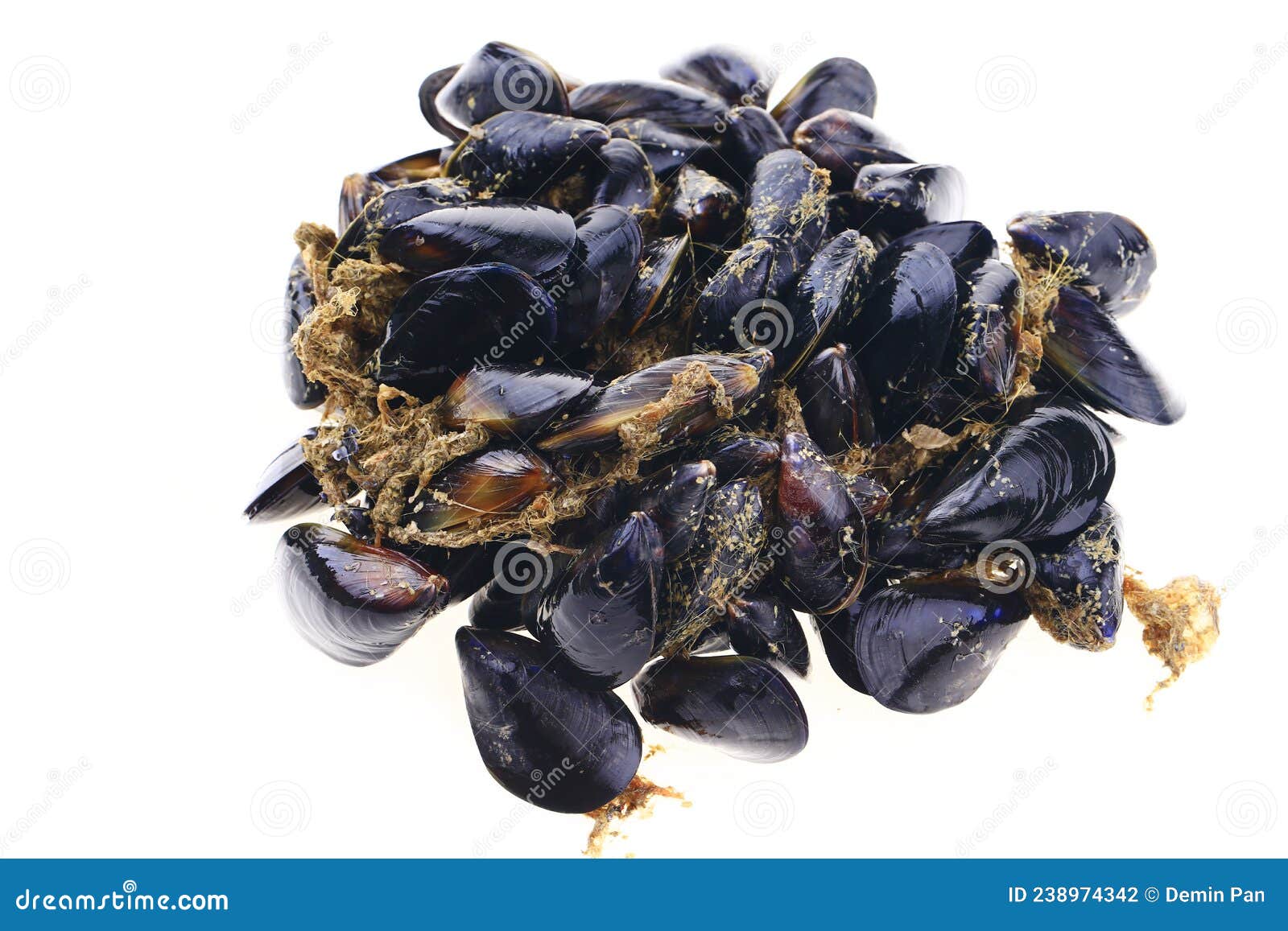 Mussels on a White Background Stock Photo - Image of health, gourmet ...