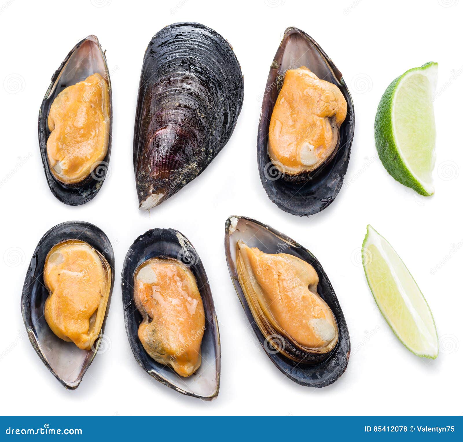 Mussels on a White Background. Stock Photo - Image of opened, ocean ...