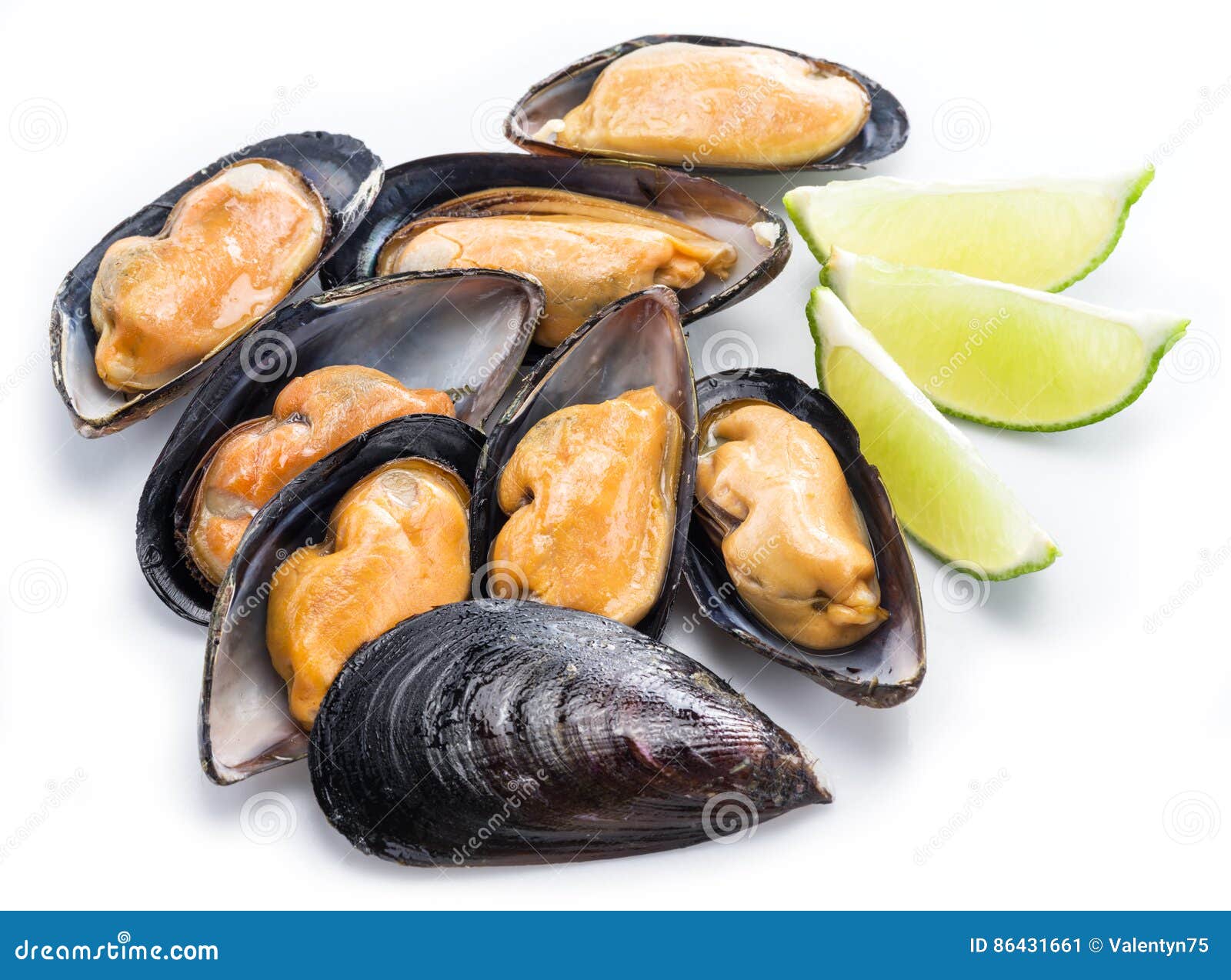 Mussels on a White Background. Stock Image - Image of organic, opened ...